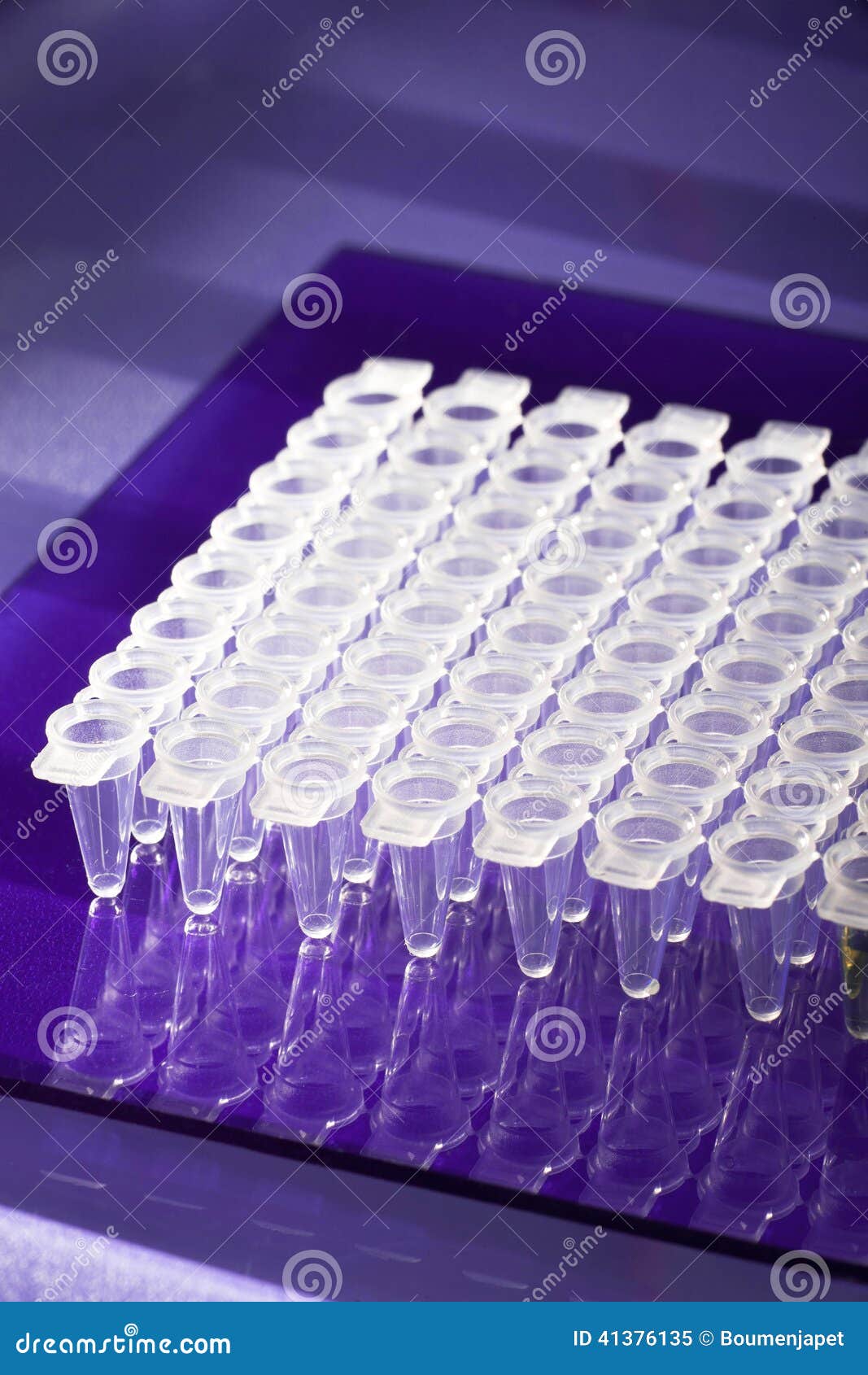DNA amplification stock image. Image of genetic, medical - 41376135