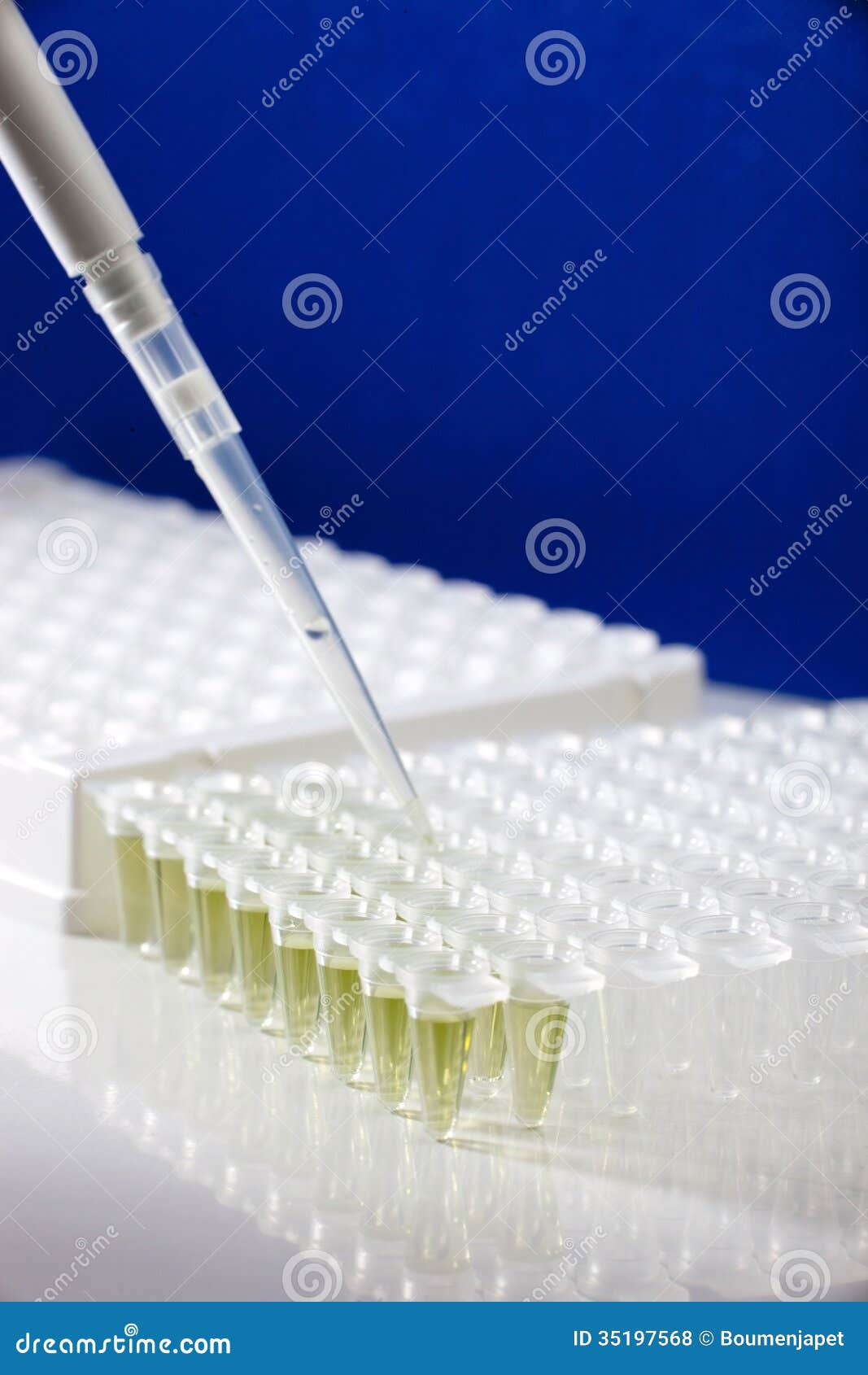 DNA amplification stock photo. Image of equipment, chemistry - 35197568