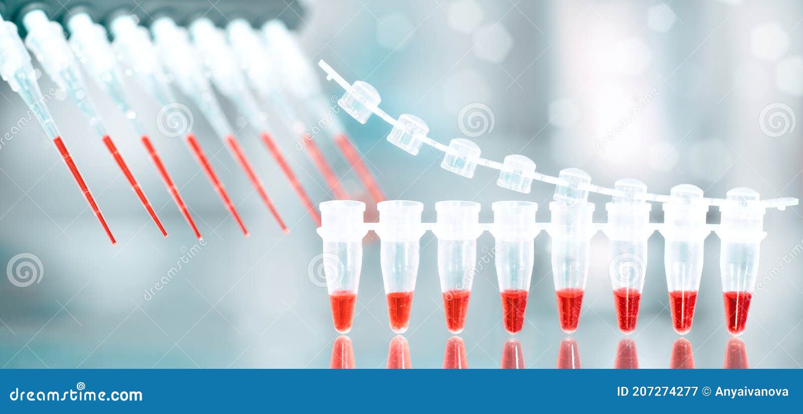 DNA Amplification Test and Reaction Mixture in Multichannel Automatic ...