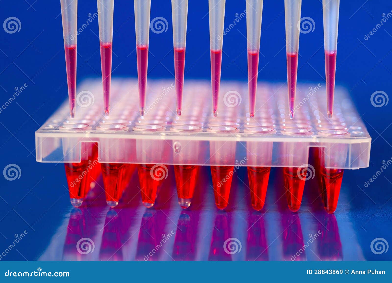 DNA analysis stock image. Image of sequencing, microwells - 28843869