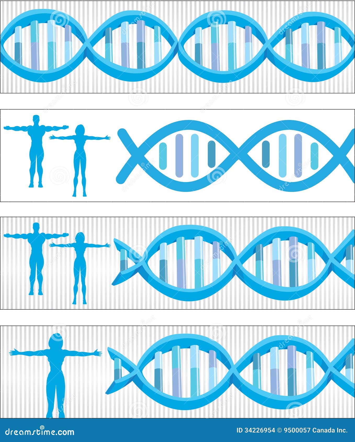 DNA banners stock vector. Illustration of acid, nucleobase - 34226954