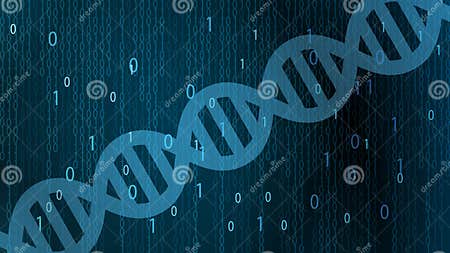 DNA on a Binary Code Background Stock Vector - Illustration of abstract ...