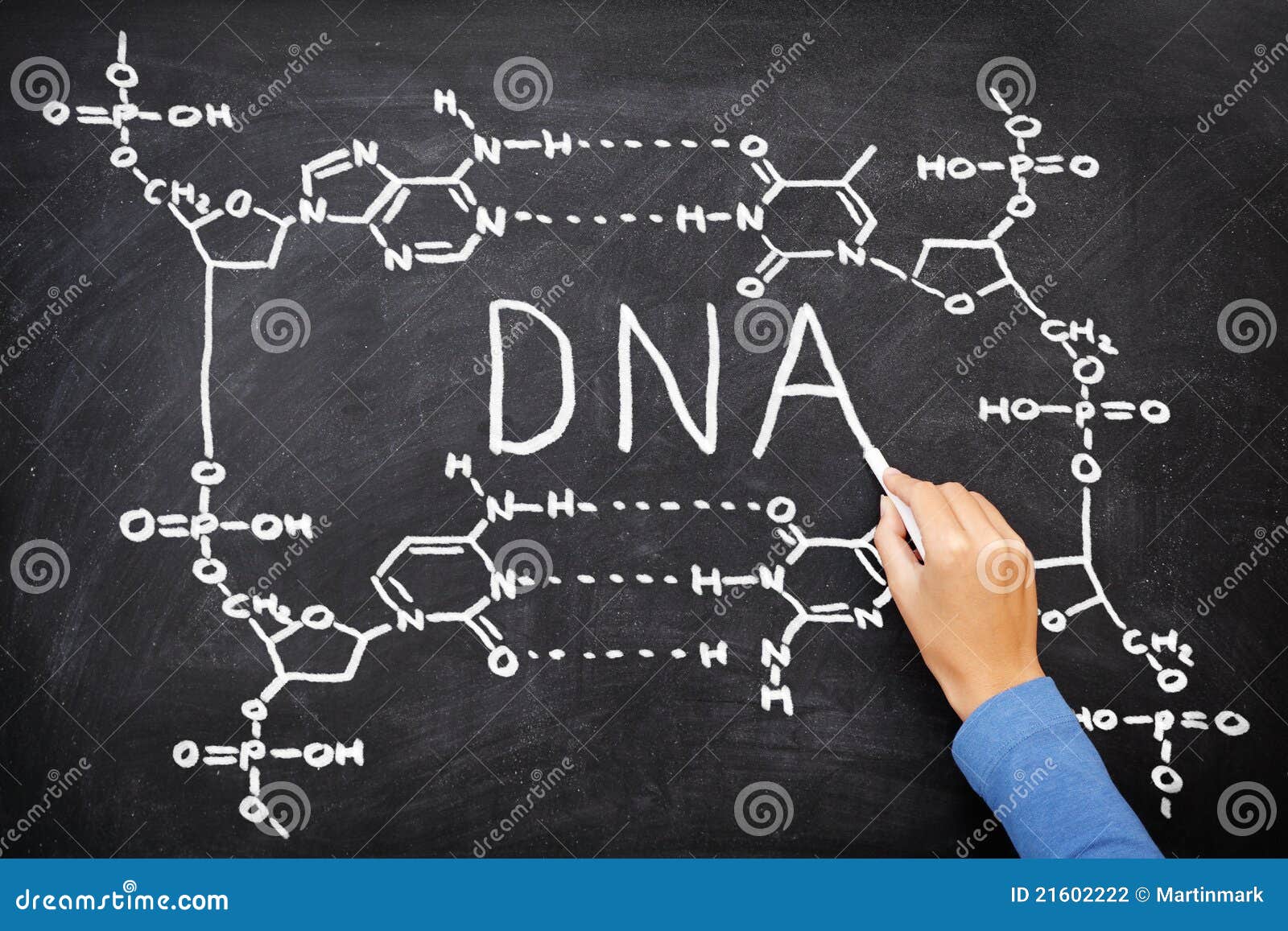 DNA Blackboard Drawing Stock Photography - Image: 21602222