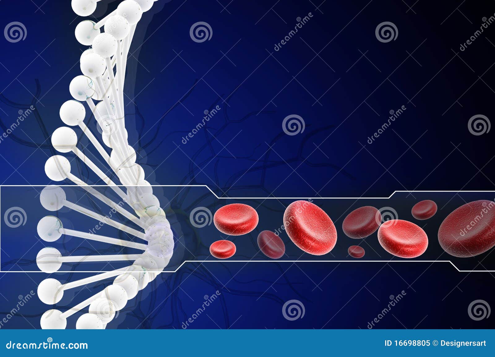 Dna With Blood Cell Stock Image | CartoonDealer.com #16698805