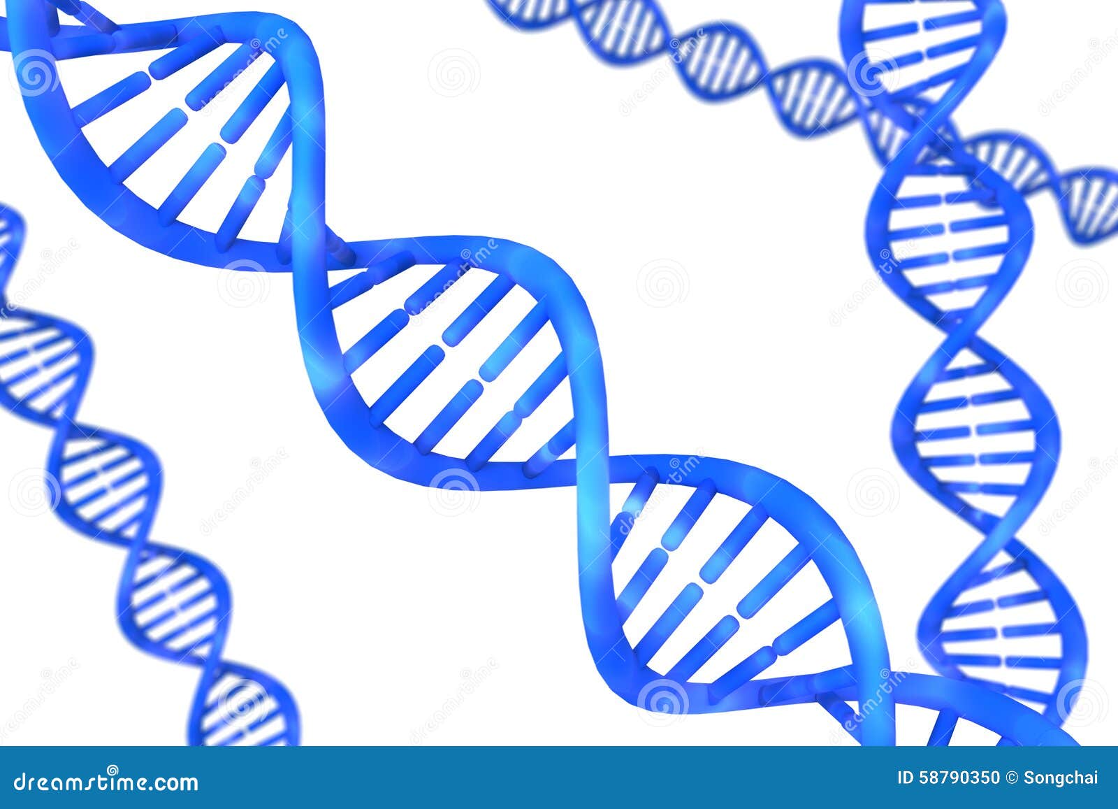 Gene Dna Strings Spiral Object Red Blood Vessel, Veins, Arteries, Aorta ...
