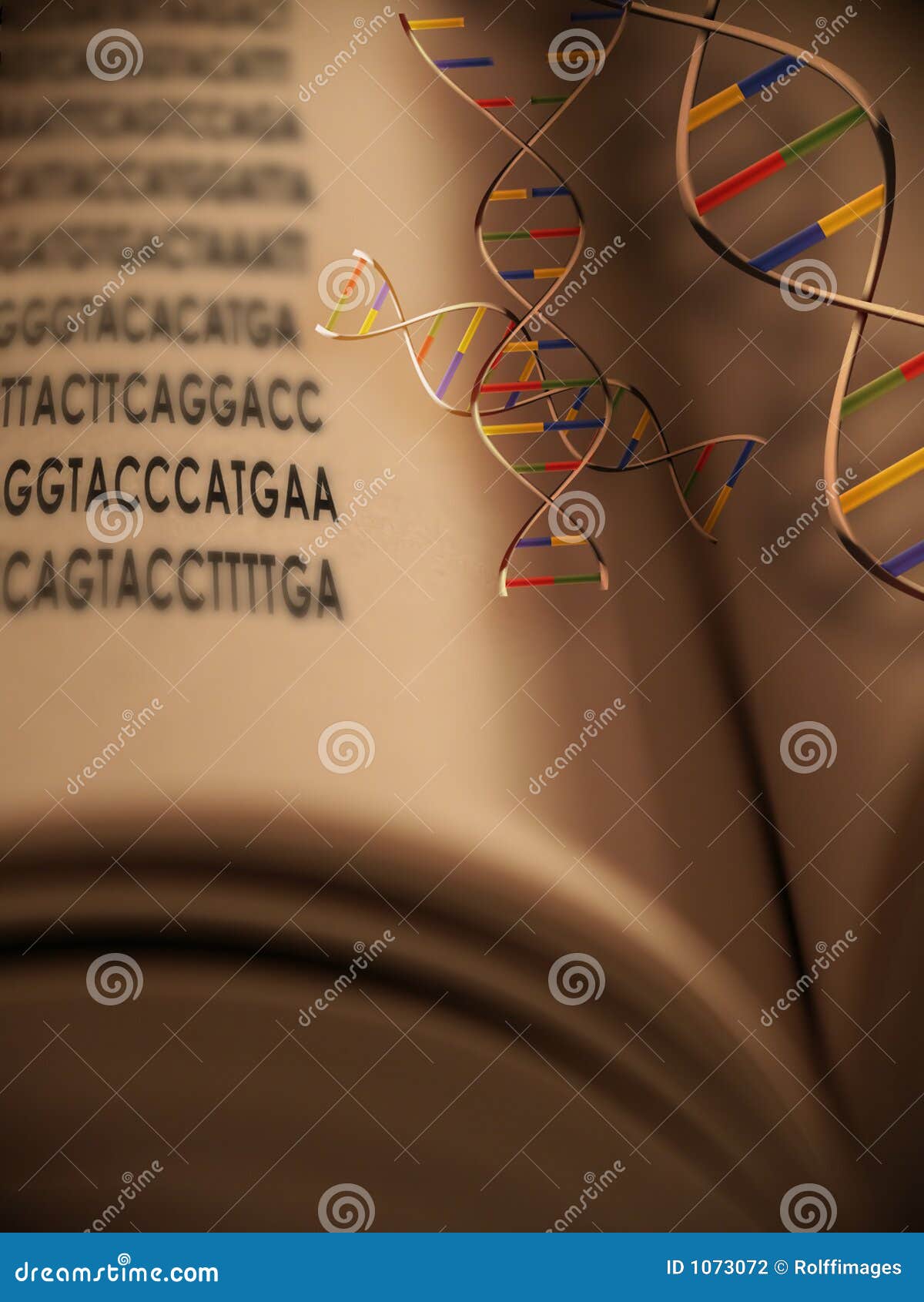 DNA Book stock photo. Image of letters, life, ethical - 1073072