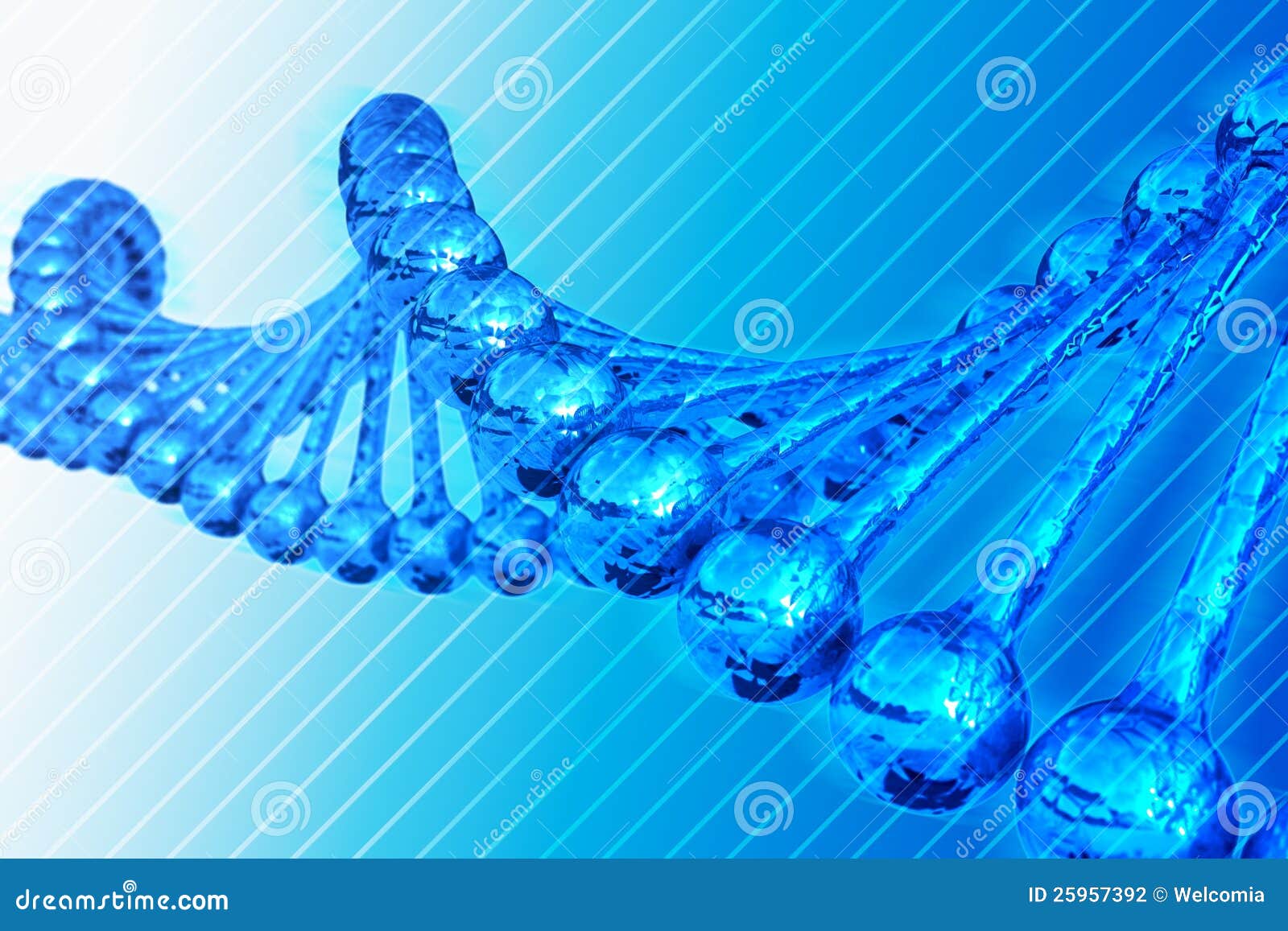 DNA Chain stock illustration. Illustration of blue, hospital - 25957392