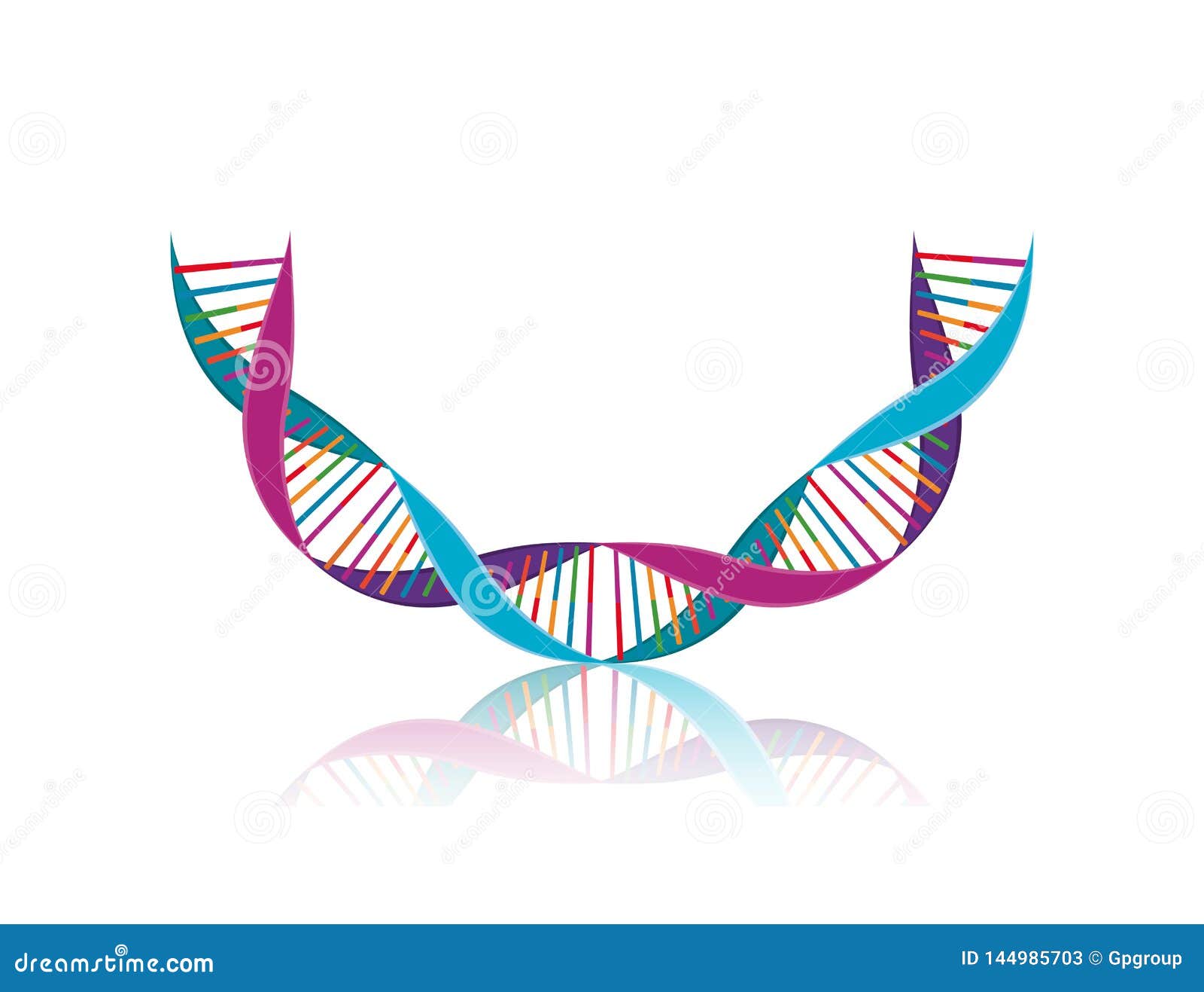 Dna Chain with Curve Science Colorful Icon Stock Vector - Illustration ...
