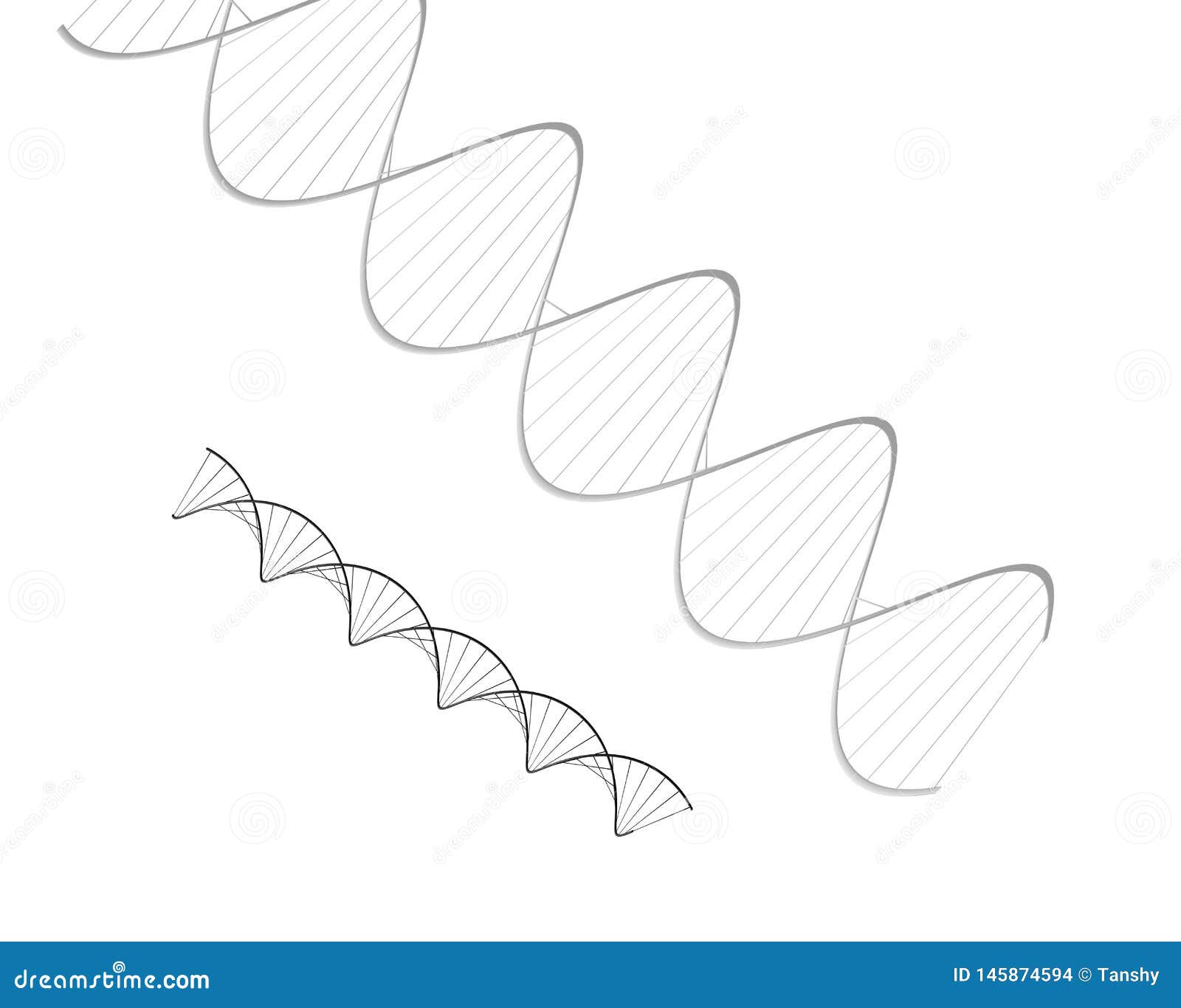 Lattice Dna Chain Illustration 3d Rendering Stock Illustration ...