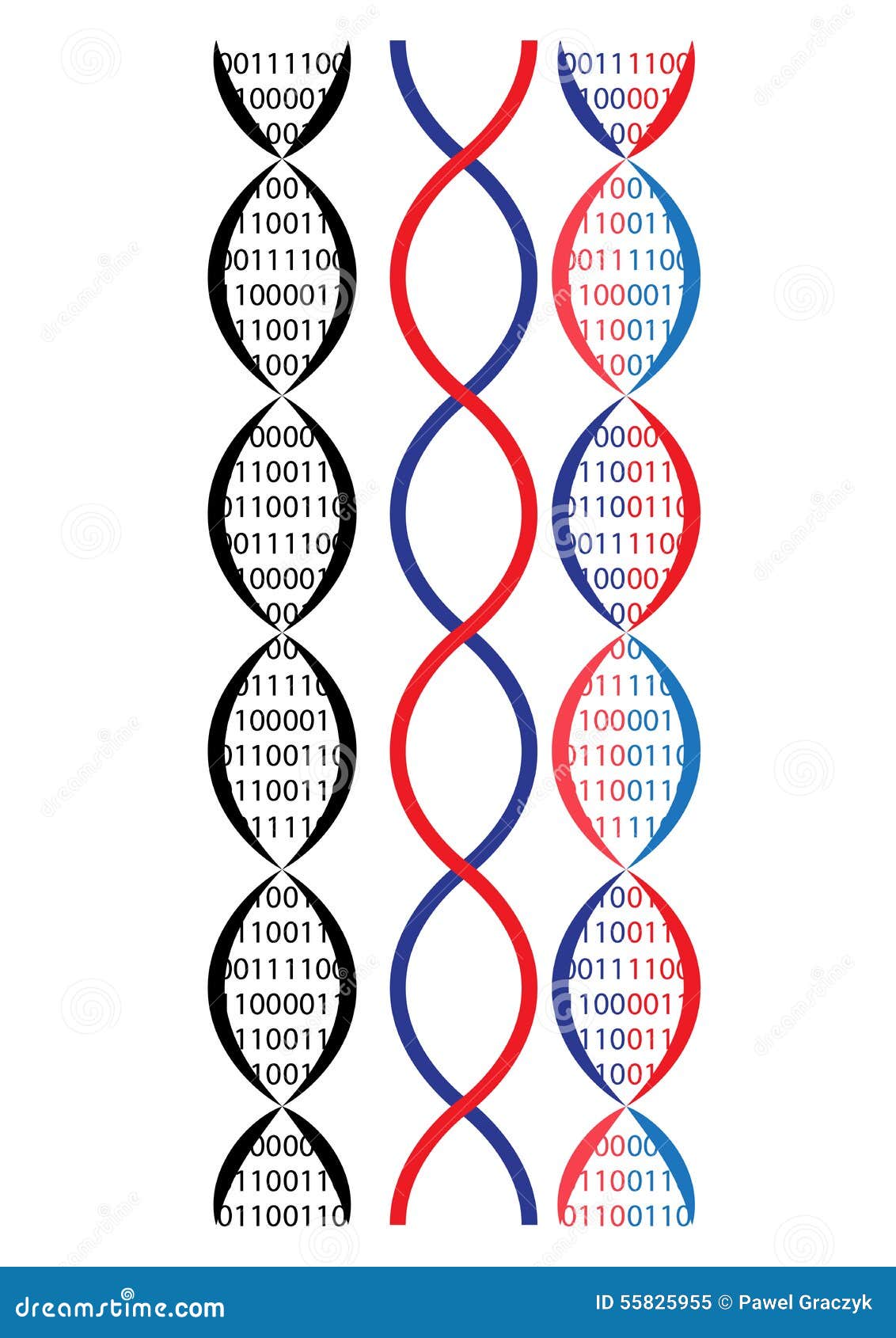 Dna chain stock vector. Illustration of future, chain - 55825955
