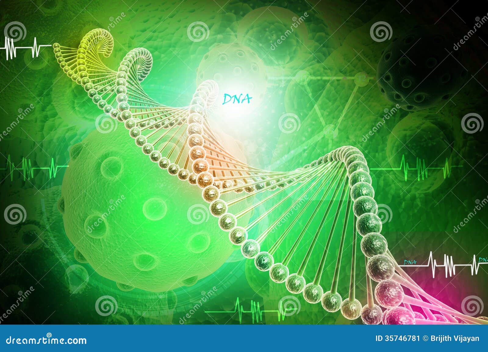 DNA chain and virus stock illustration. Illustration of biology - 35746781