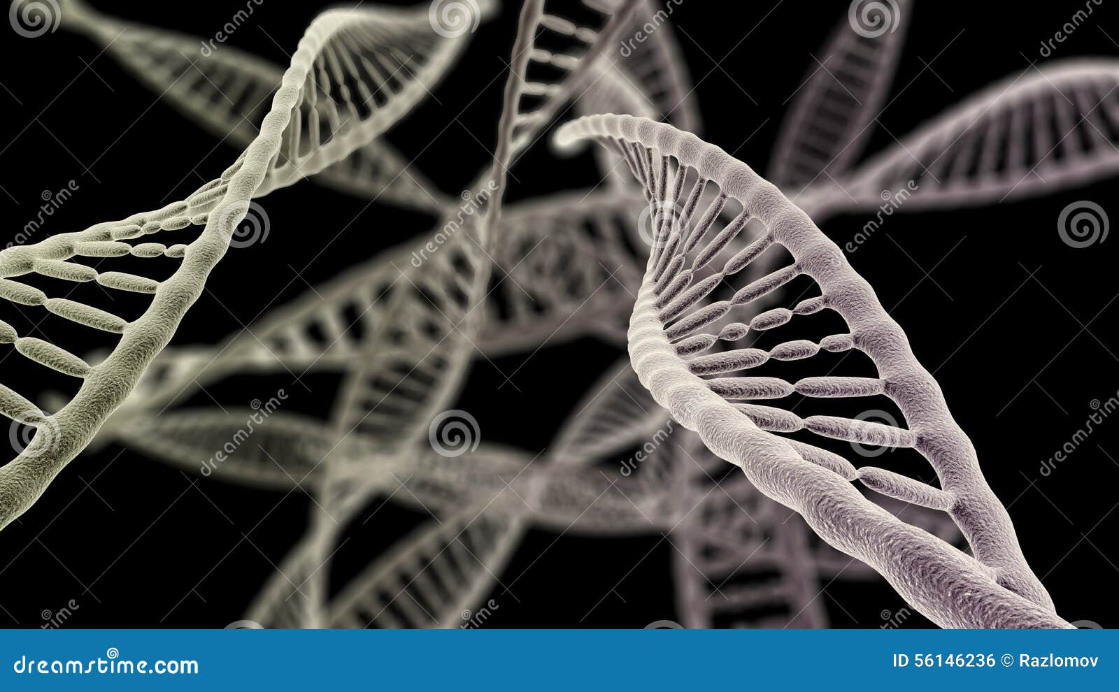 DNA Chains Close Up on the Black Background Stock Illustration ...