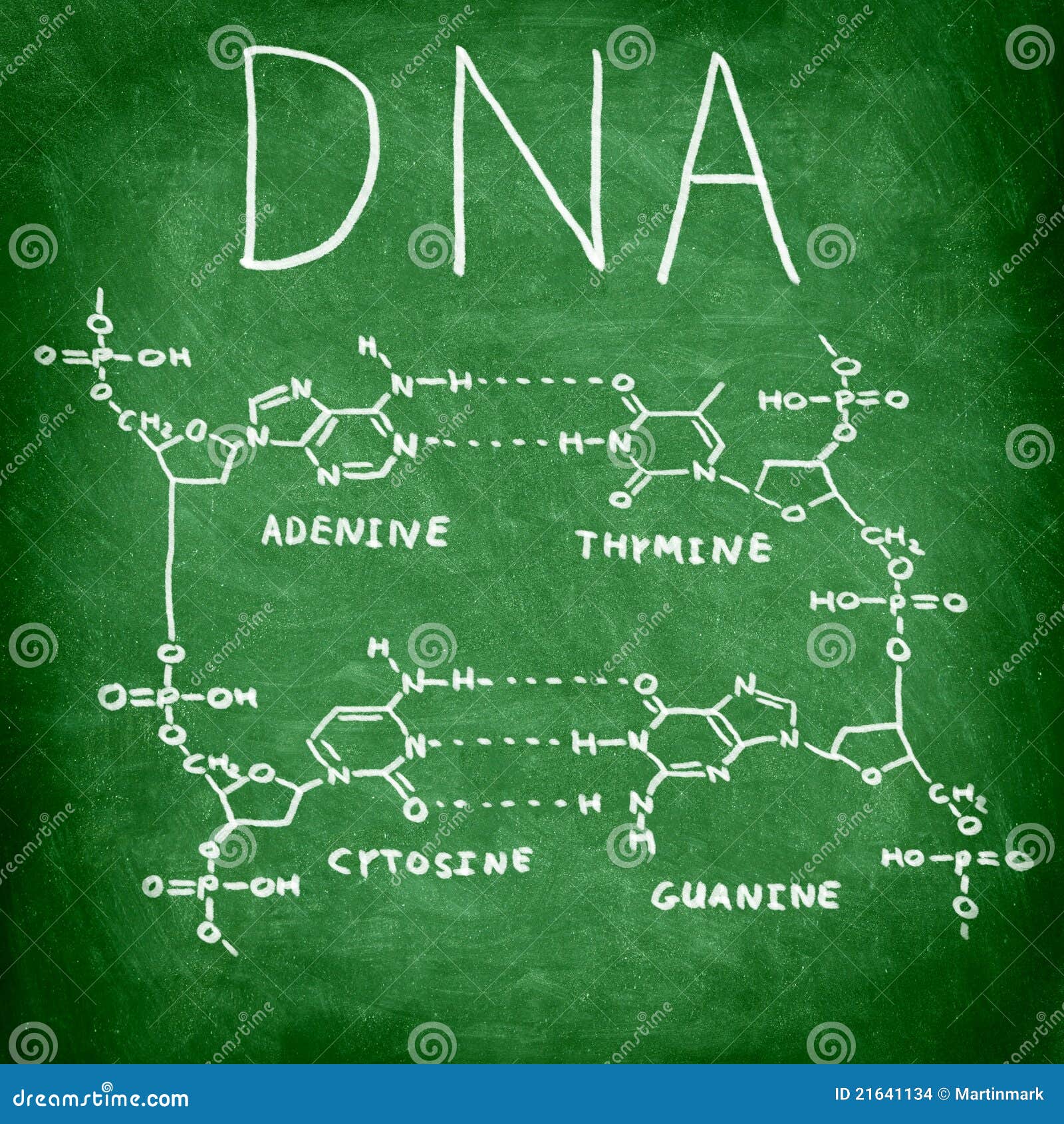 DNA Chemistry Structure on Chalkboard Stock Photo - Image of chemisty ...