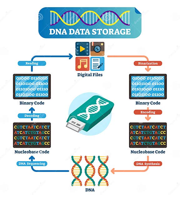DNA Data Storage Infographic Vector Illustration. Explained Technology ...