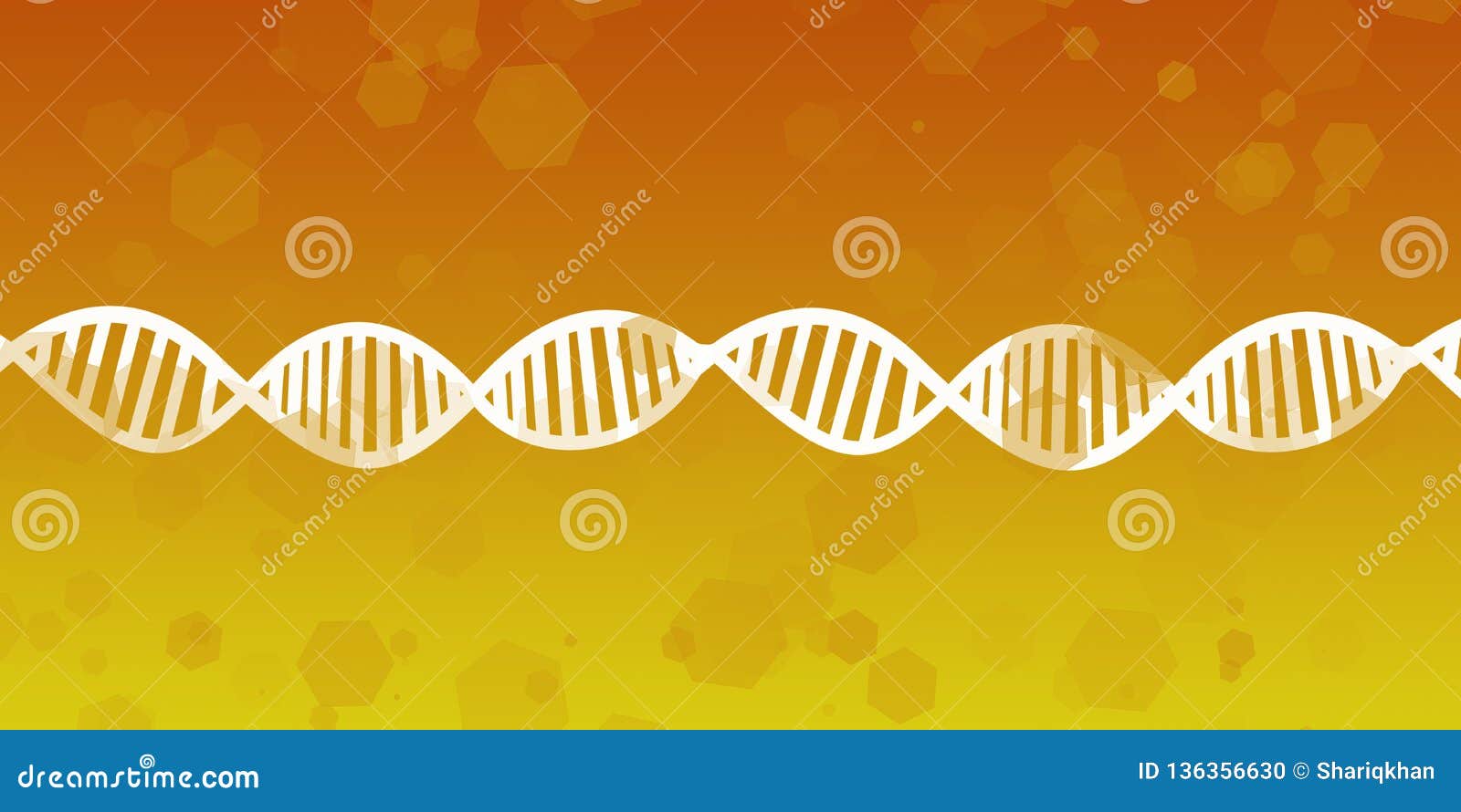 DNA Deoxyribonucleic Acid Abstract Structure Header Stock Illustration ...