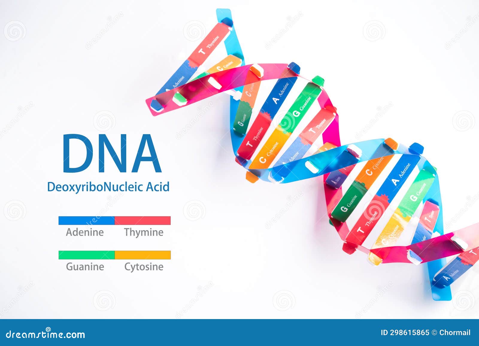 DNA or Deoxyribonucleic Acid is a Double Helix Chains Structure Formed ...
