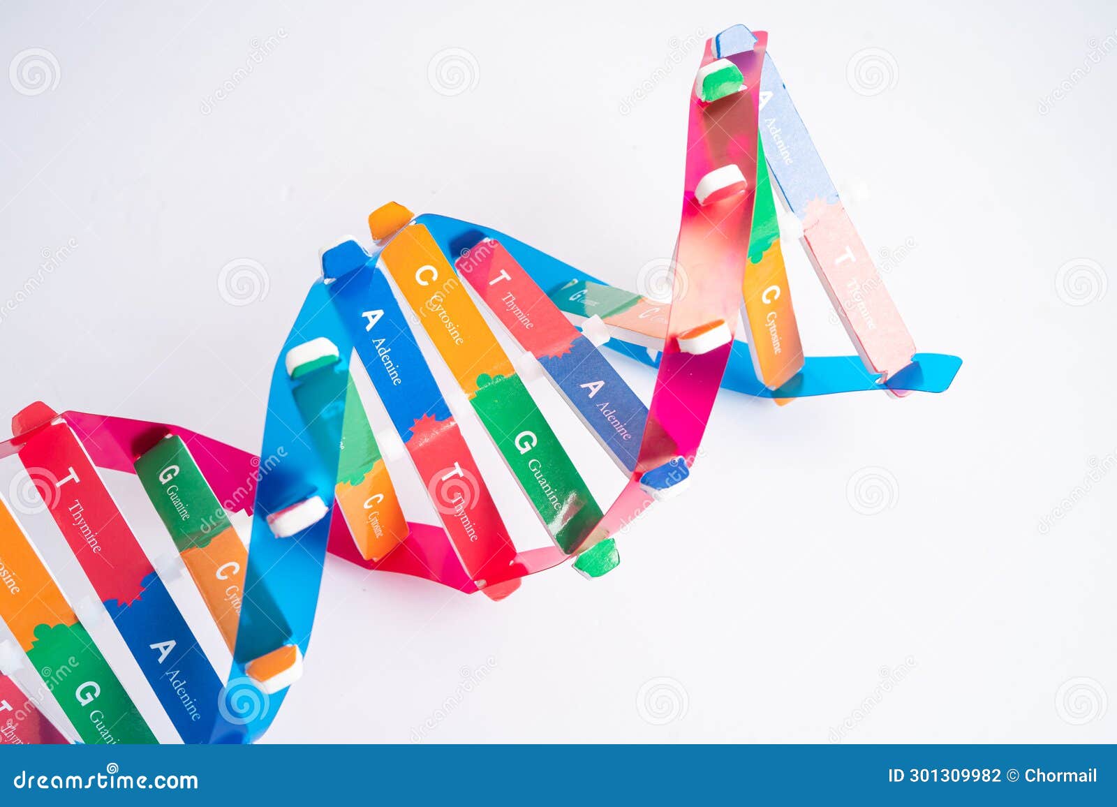 DNA - Deoxyribonucleic Acid, Acronym Stock Photo | CartoonDealer.com ...