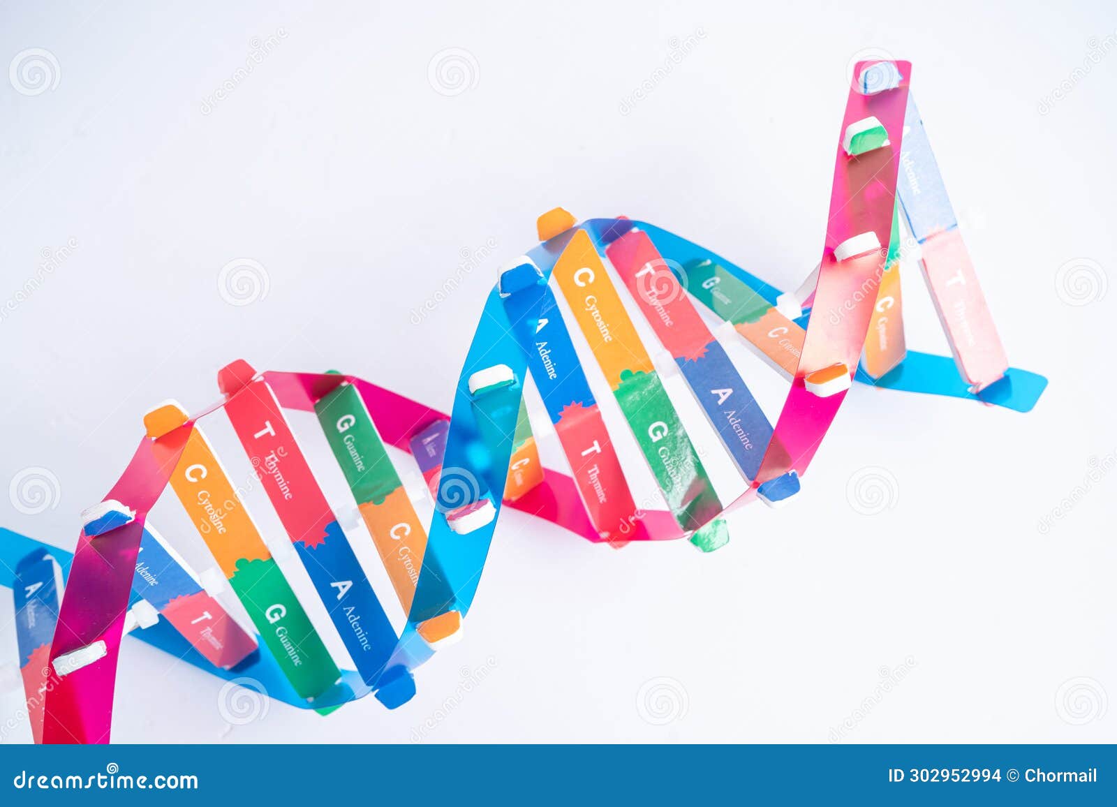 DNA or Deoxyribonucleic Acid is a Double Helix Chains Structure Formed ...