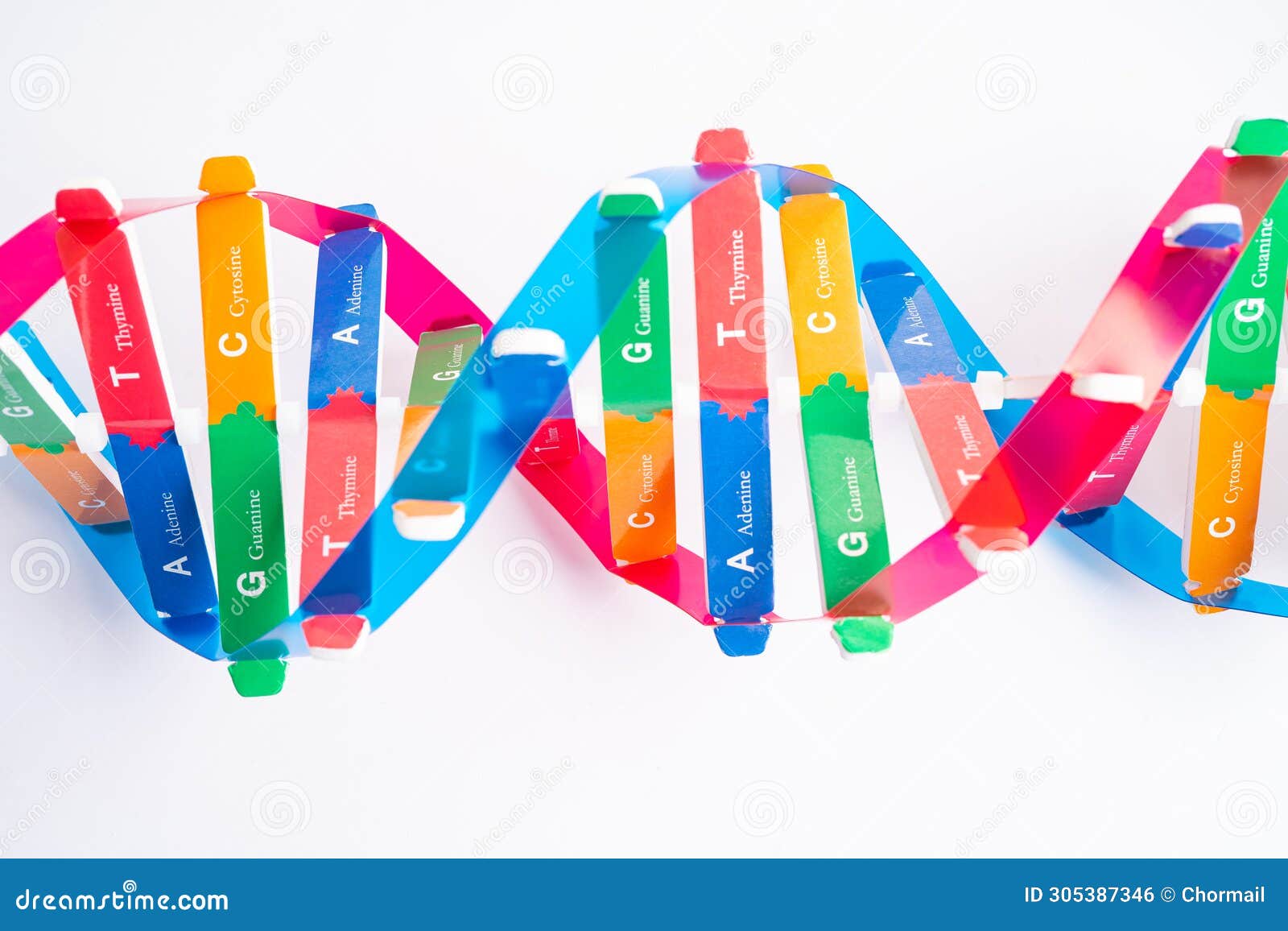 DNA or Deoxyribonucleic Acid is a Double Helix Chains Structure Formed ...