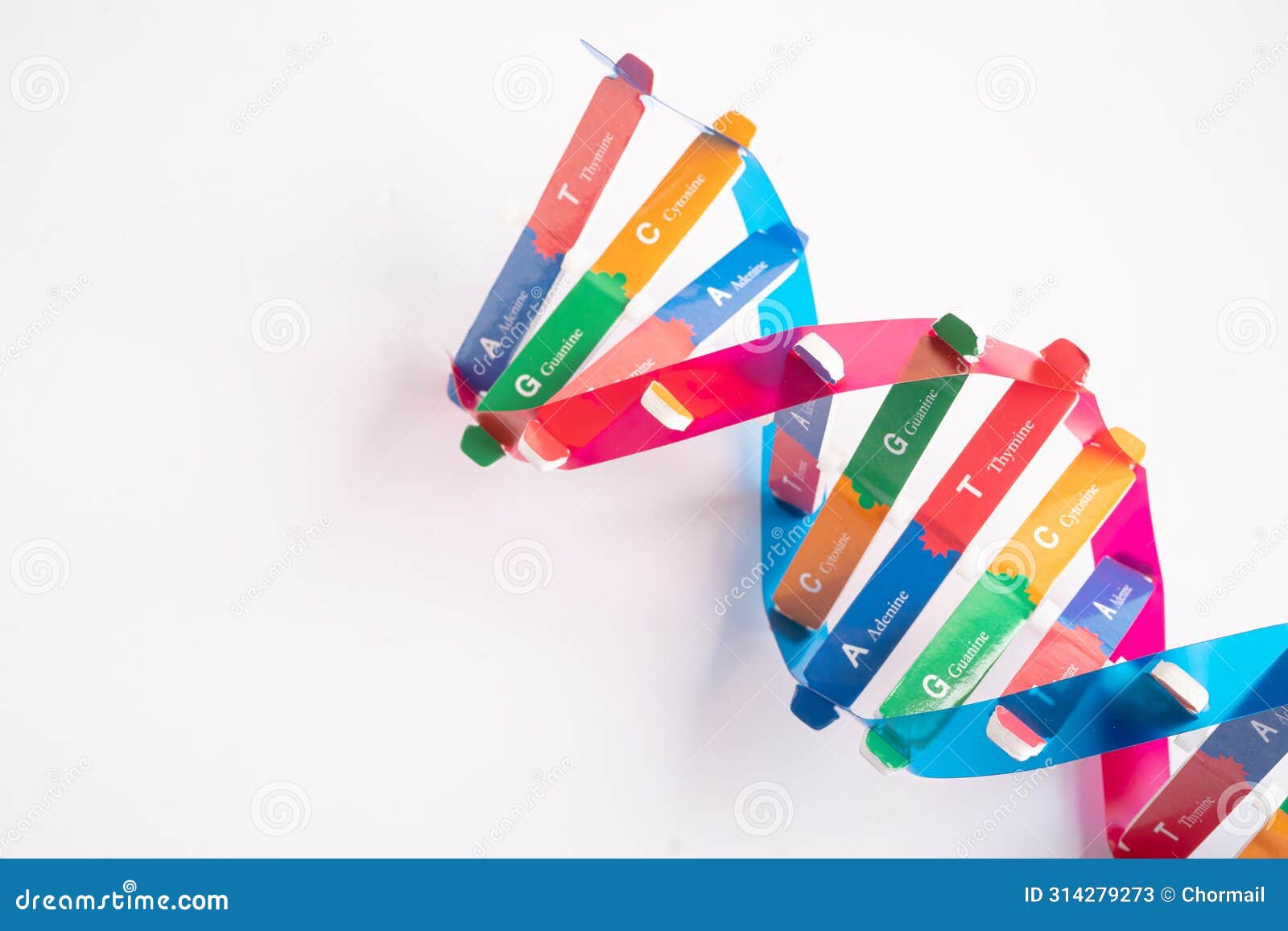 DNA or Deoxyribonucleic Acid is a Double Helix Chains Structure Formed ...