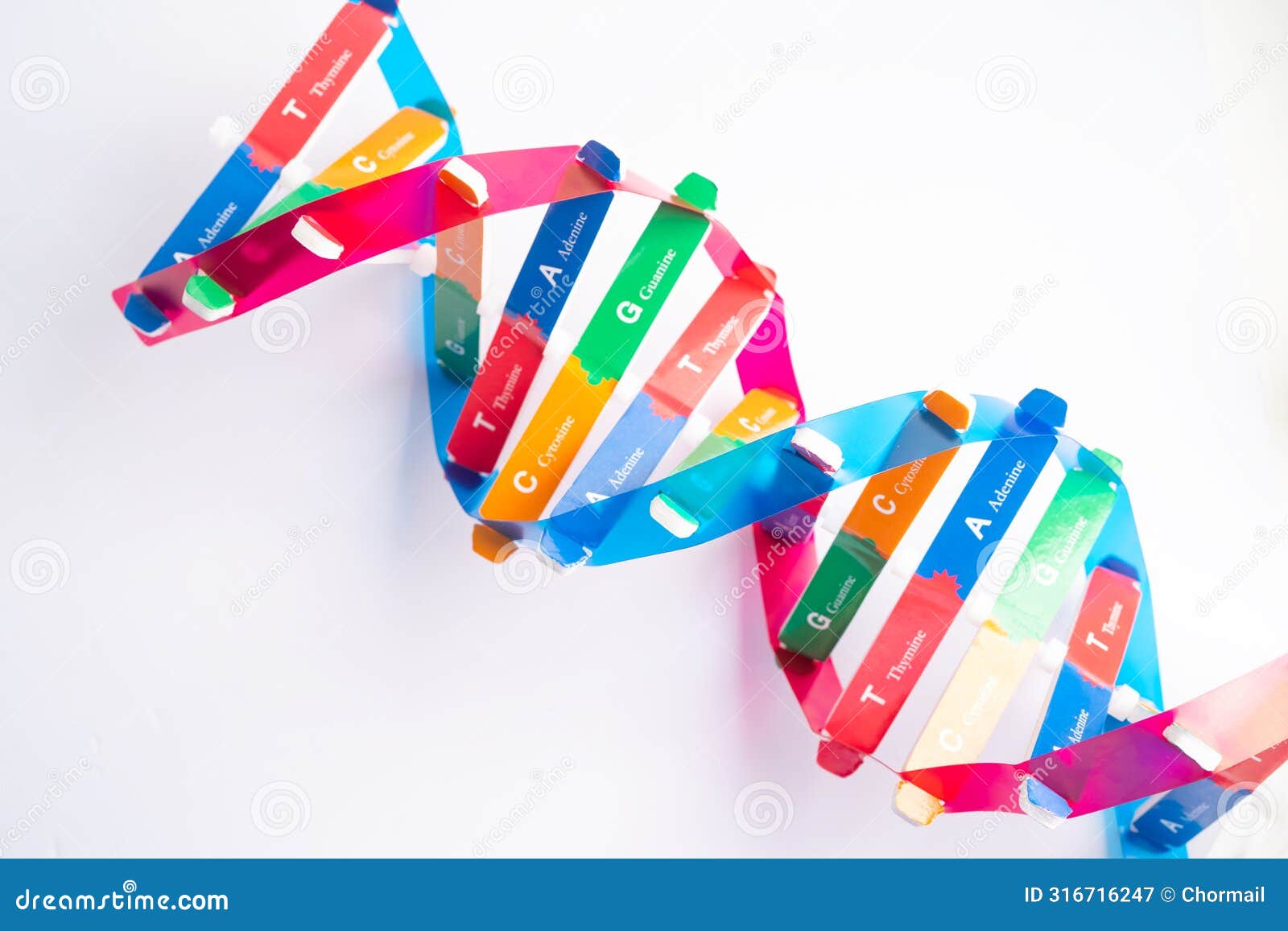 DNA or Deoxyribonucleic Acid is a Double Helix Chains Structure Formed ...