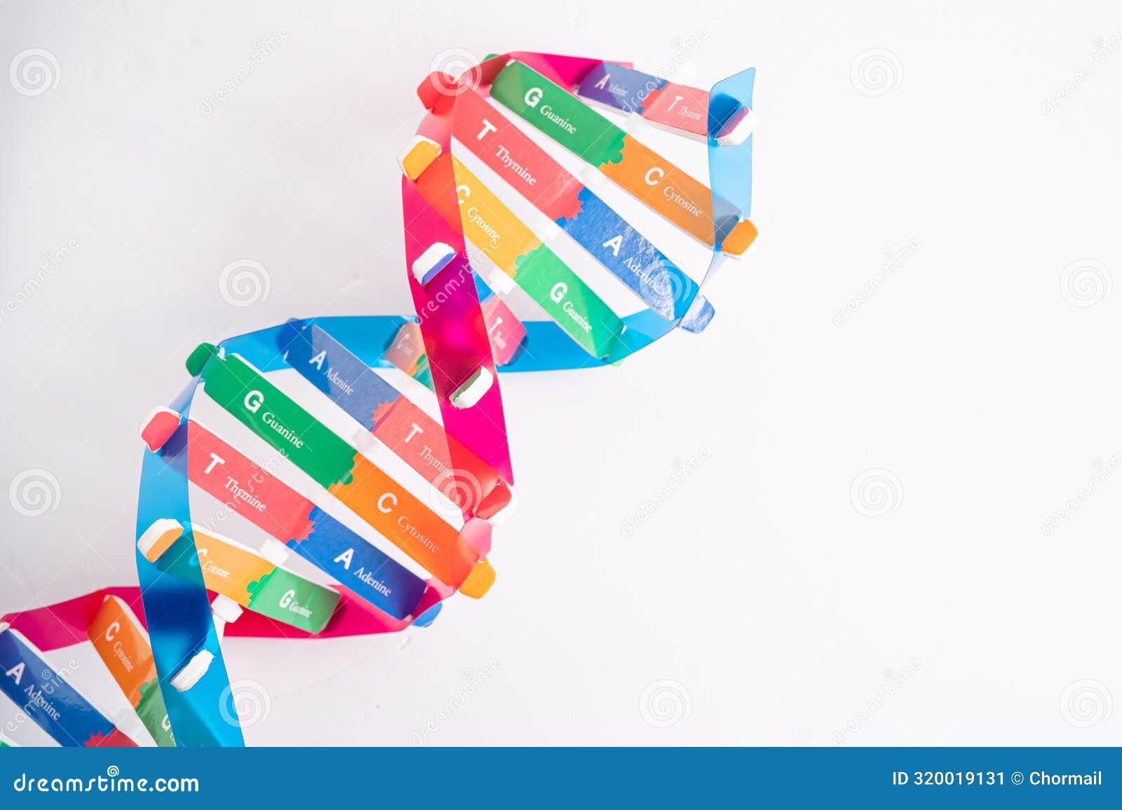 DNA or Deoxyribonucleic Acid is a Double Helix Chains Structure Formed ...