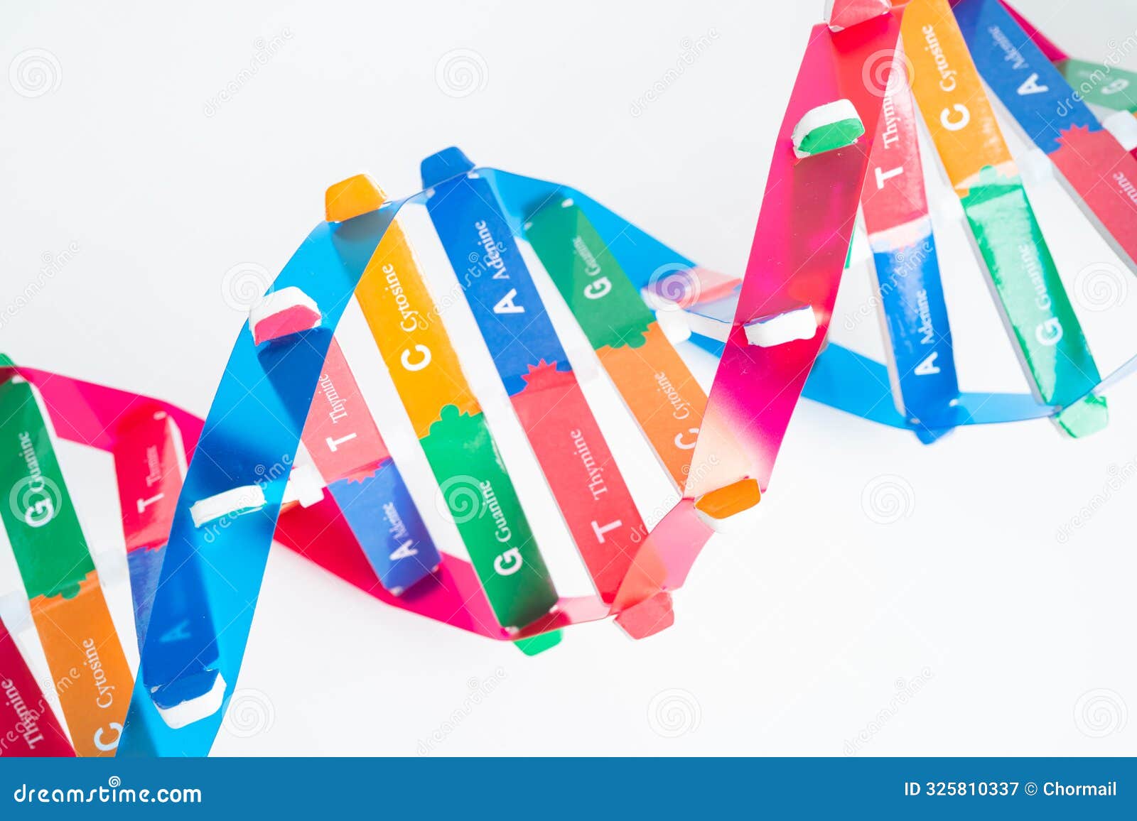 DNA or Deoxyribonucleic Acid is a Double Helix Chains Structure Formed ...