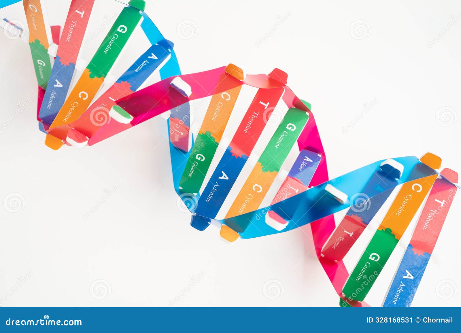 DNA Deoxyribonucleic Acid - Hereditary Material In Humans And Almost ...
