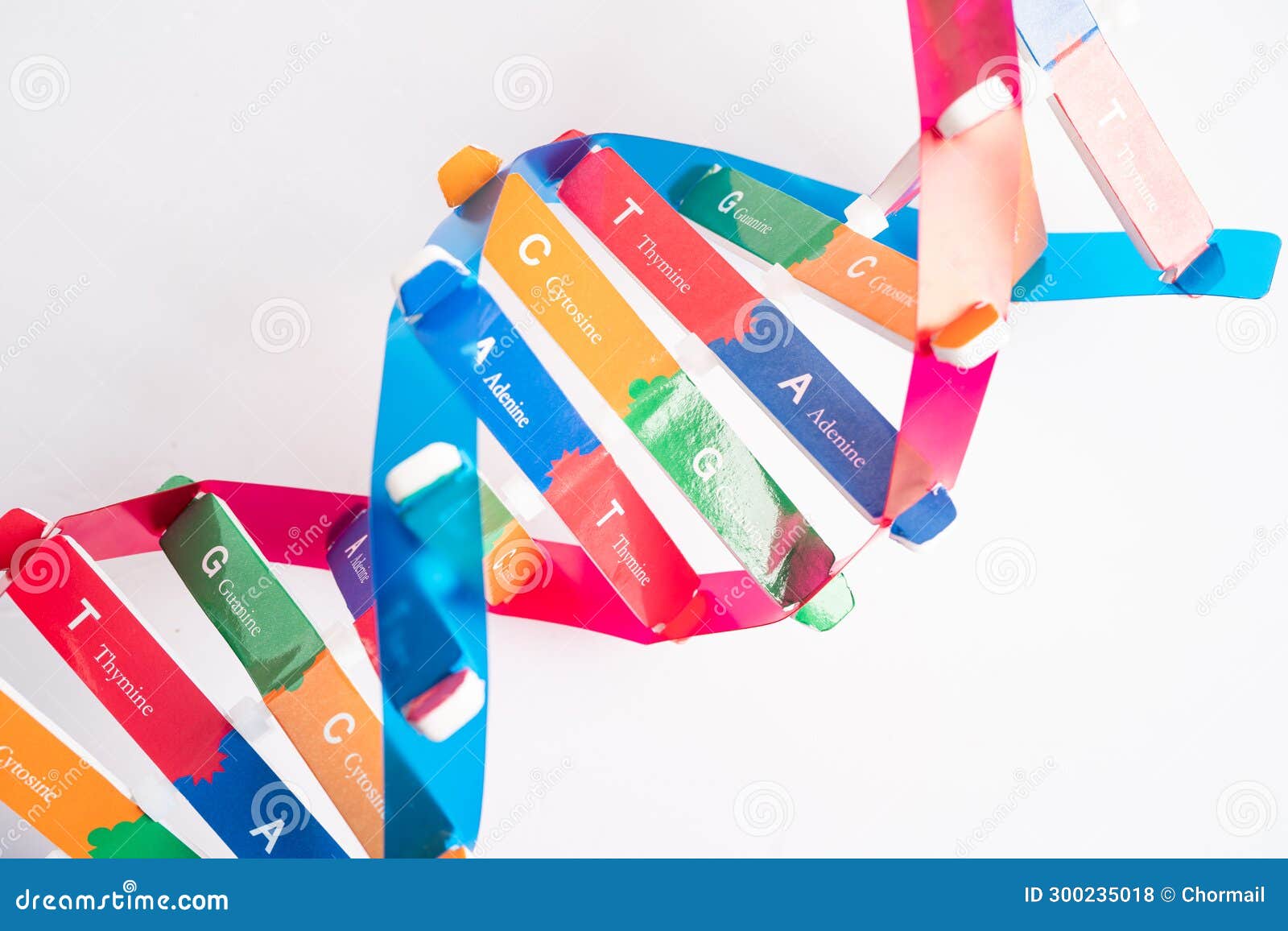 DNA or Deoxyribonucleic Acid is a Double Helix Chains Structure Formed ...