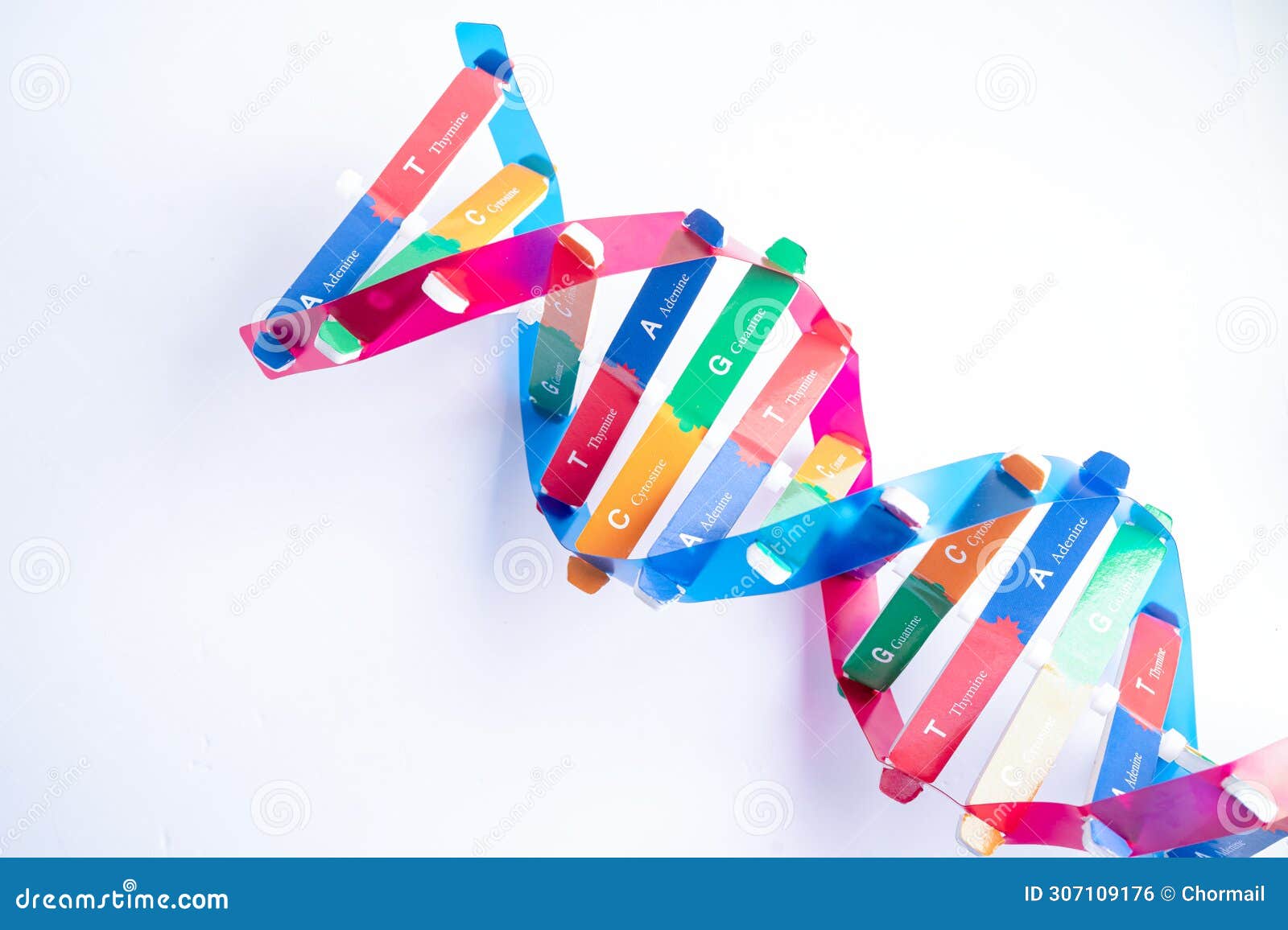 DNA or Deoxyribonucleic Acid is a Double Helix Chains Structure Formed ...