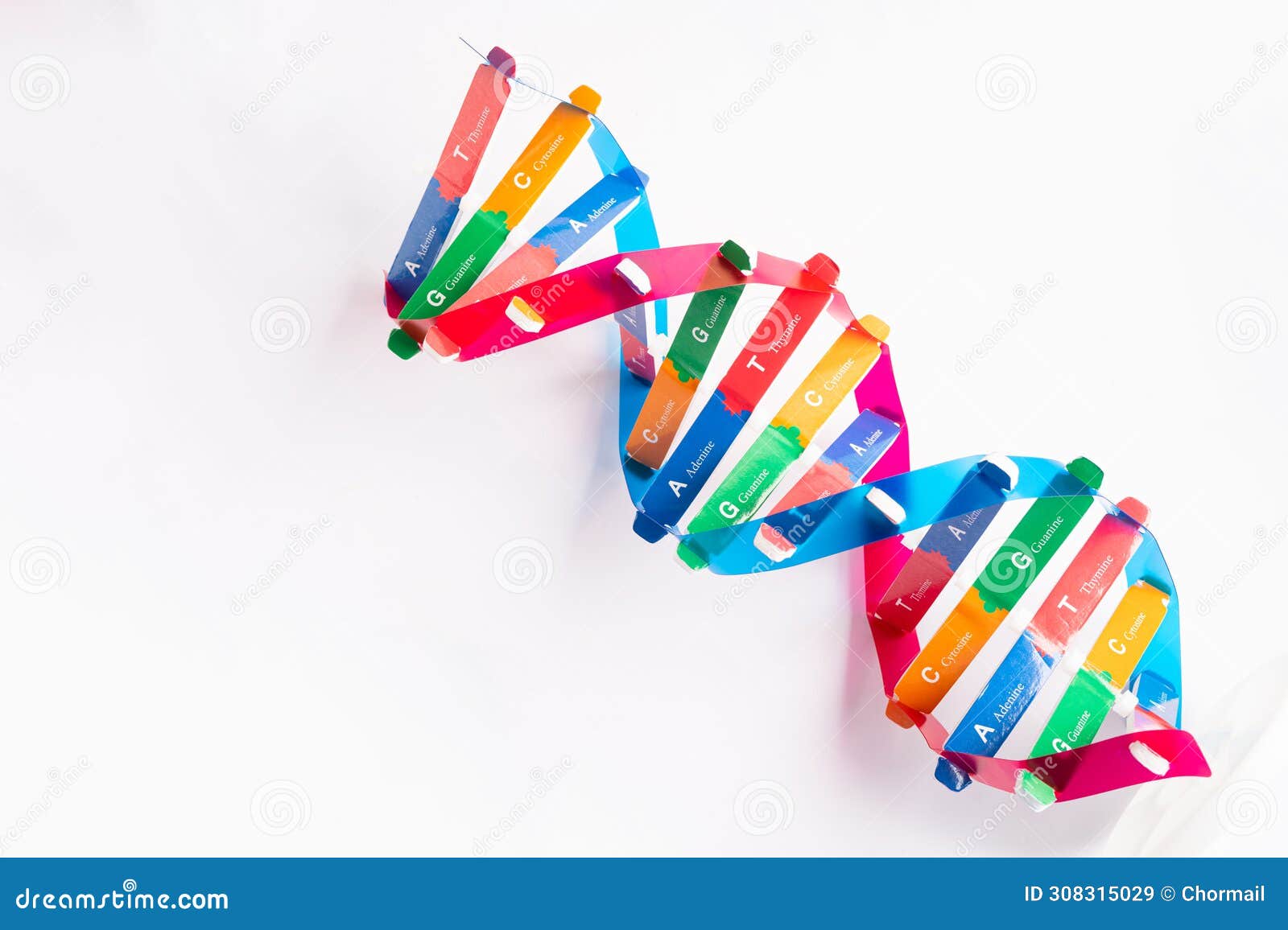 DNA or Deoxyribonucleic Acid is a Double Helix Chains Structure Formed ...