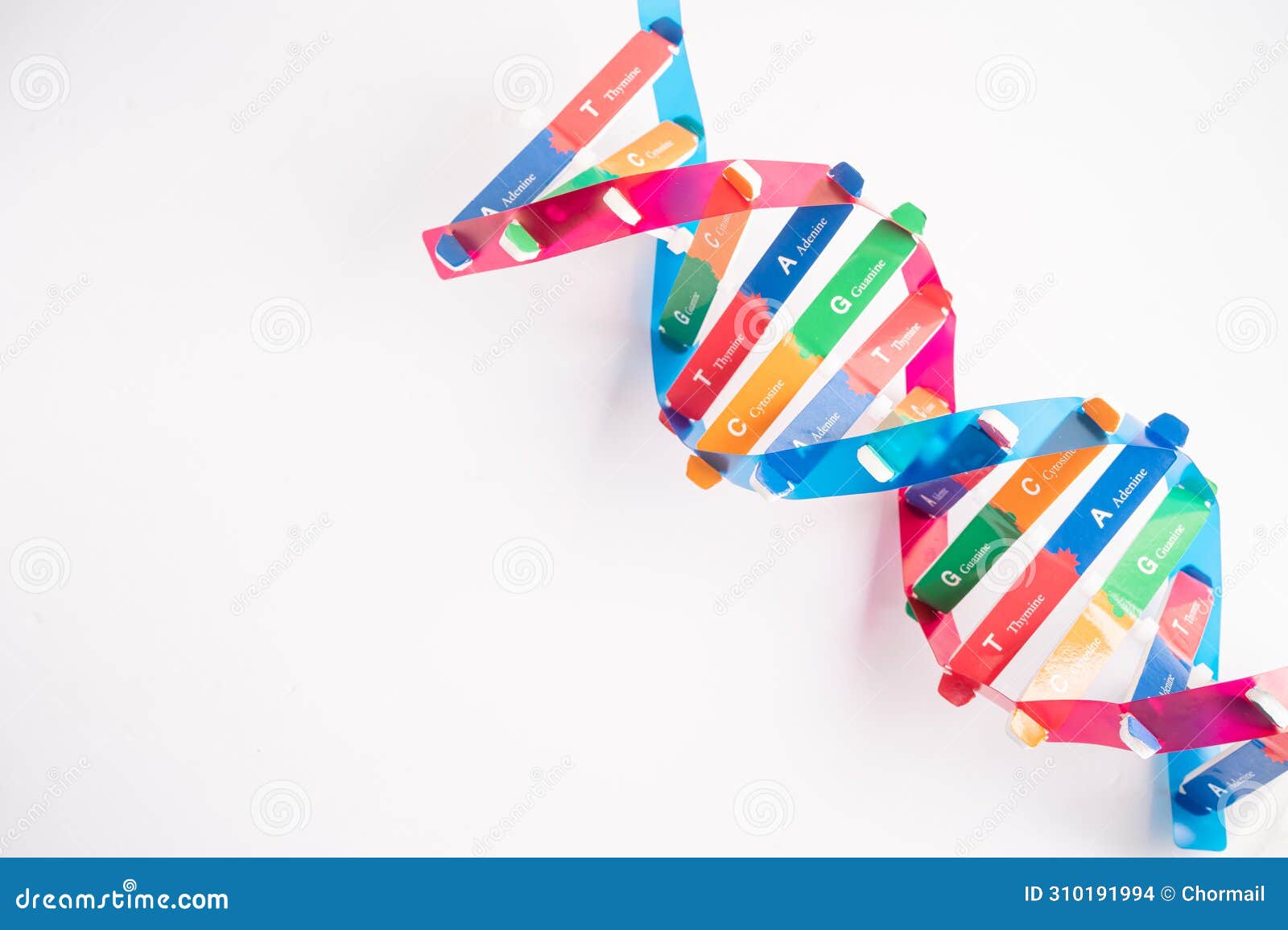 DNA or Deoxyribonucleic Acid is a Double Helix Chains Structure Formed ...