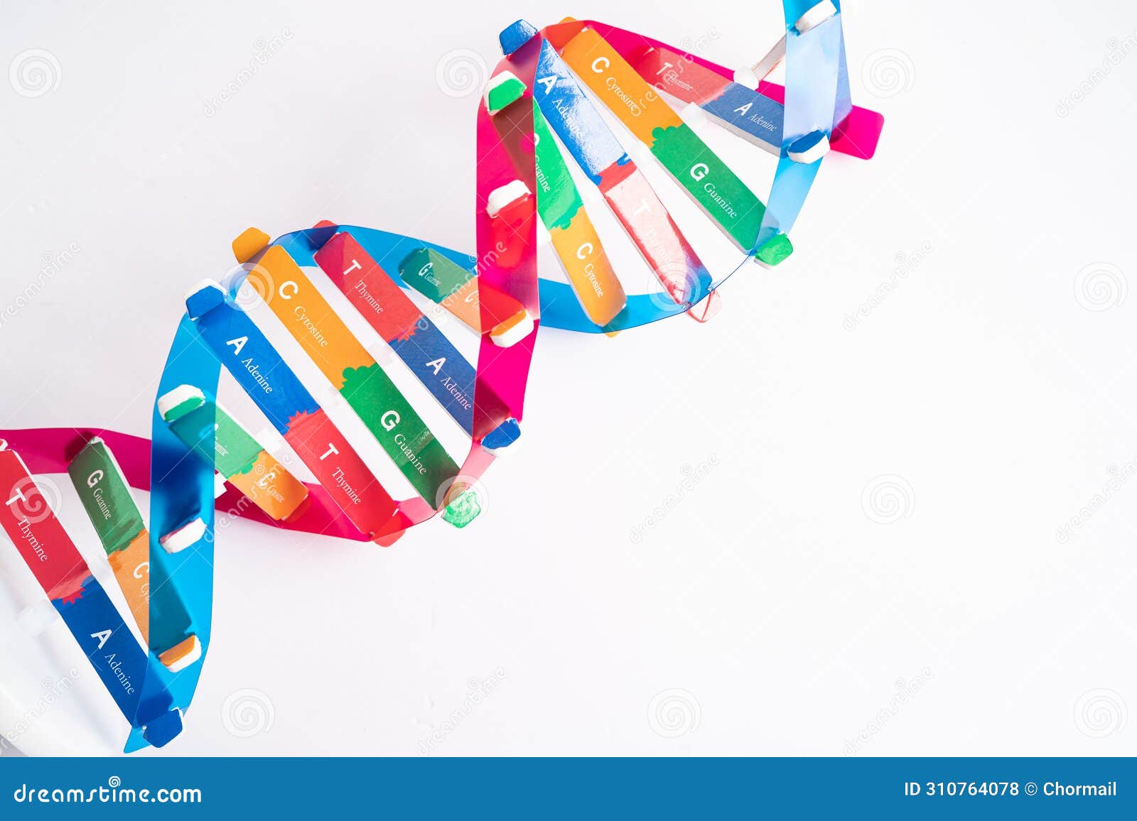 DNA or Deoxyribonucleic Acid is a Double Helix Chains Structure Formed ...