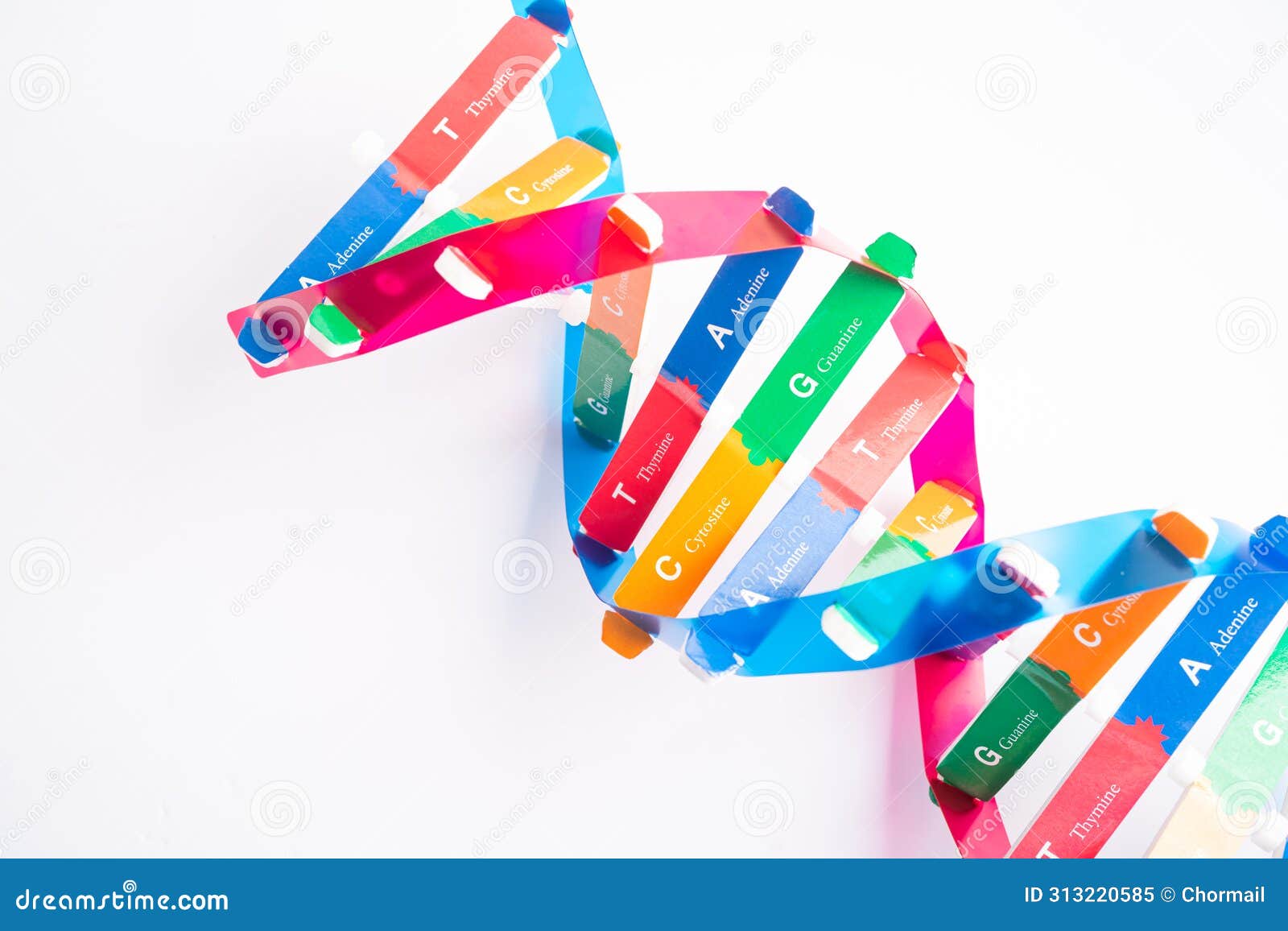 DNA or Deoxyribonucleic Acid is a Double Helix Chains Structure Formed ...