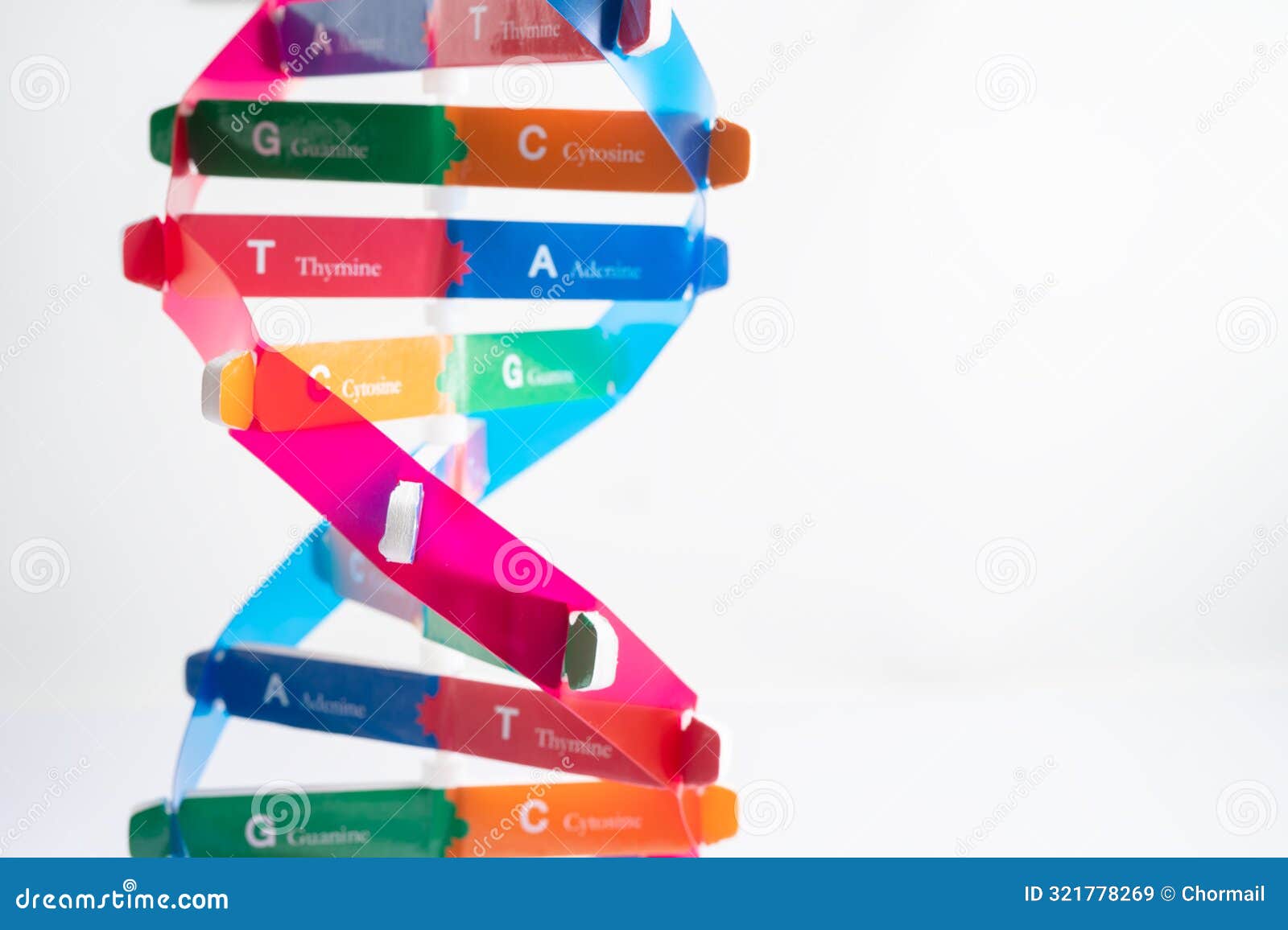 DNA or Deoxyribonucleic Acid is a Double Helix Chains Structure Formed ...