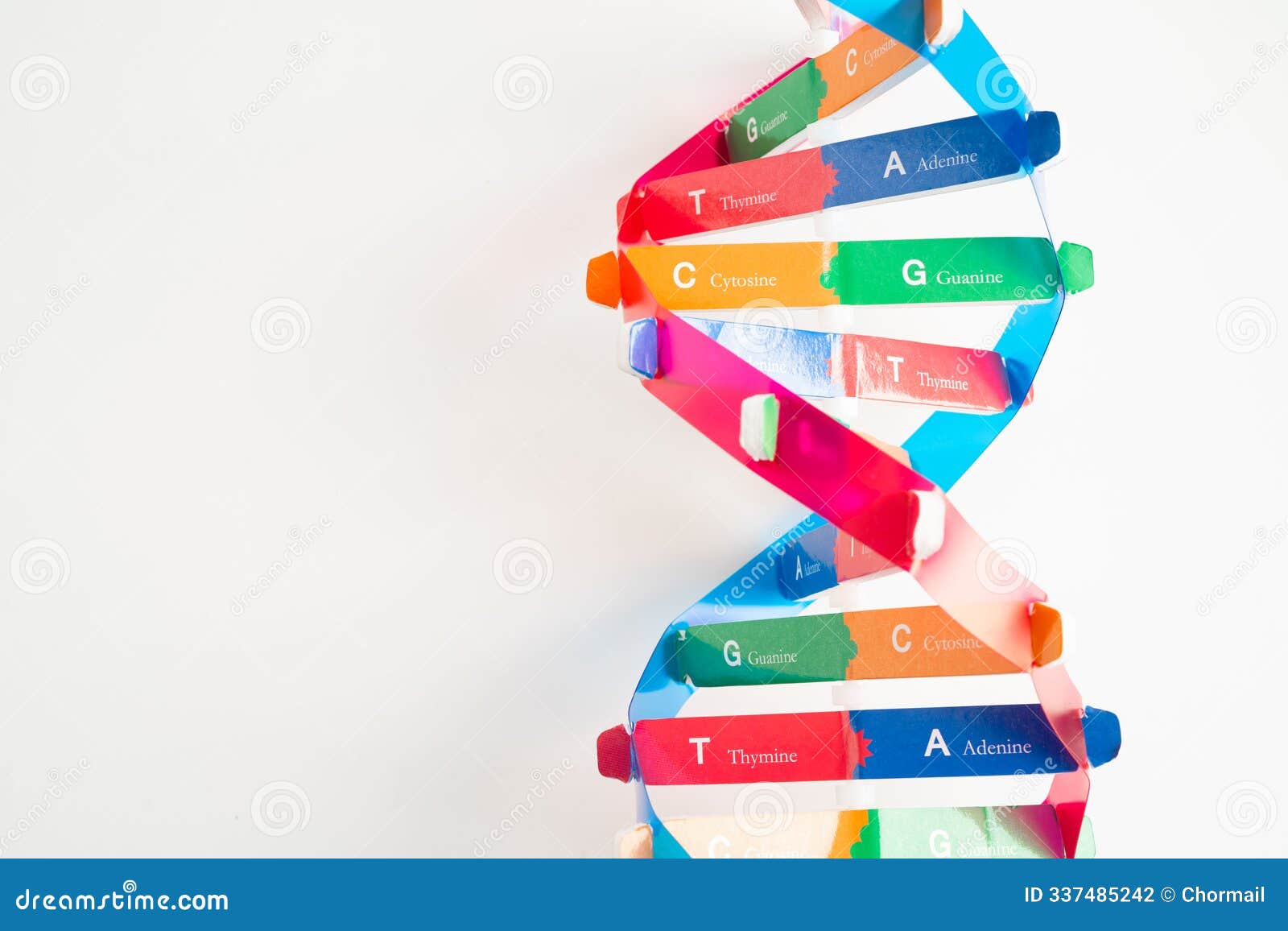 DNA or Deoxyribonucleic Acid is a Double Helix Chains Structure Formed ...