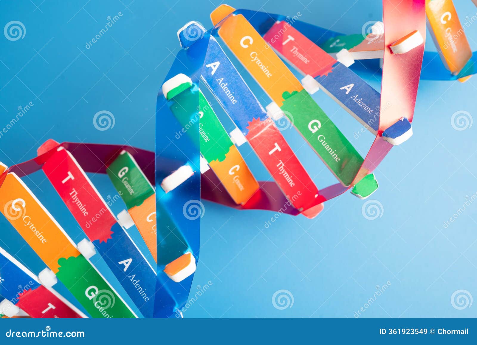 DNA or Deoxyribonucleic Acid is a Double Helix Chains Structure Formed ...