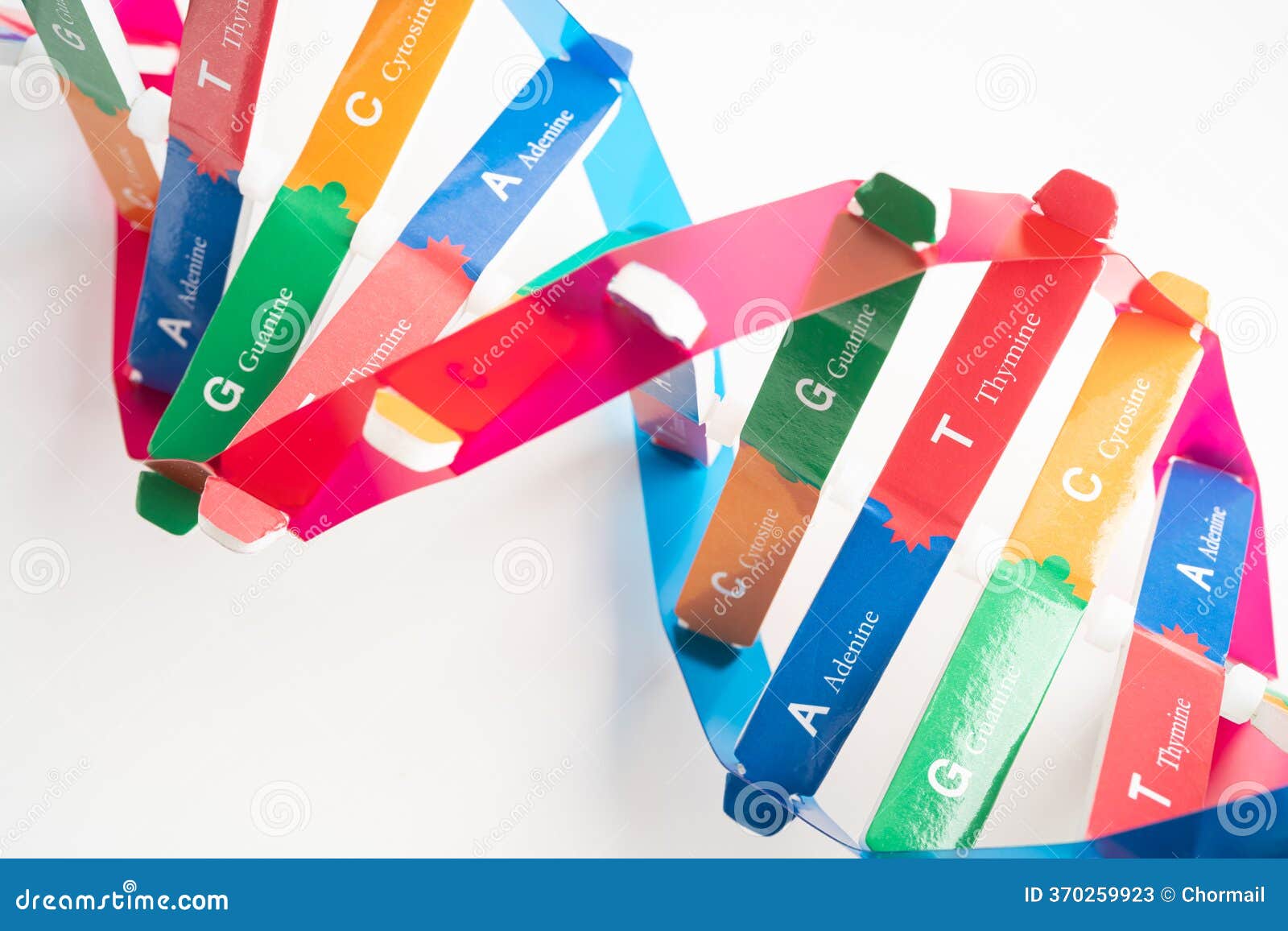 DNA Or Deoxyribonucleic Acid Is A Double Helix Chains Structure Formed ...