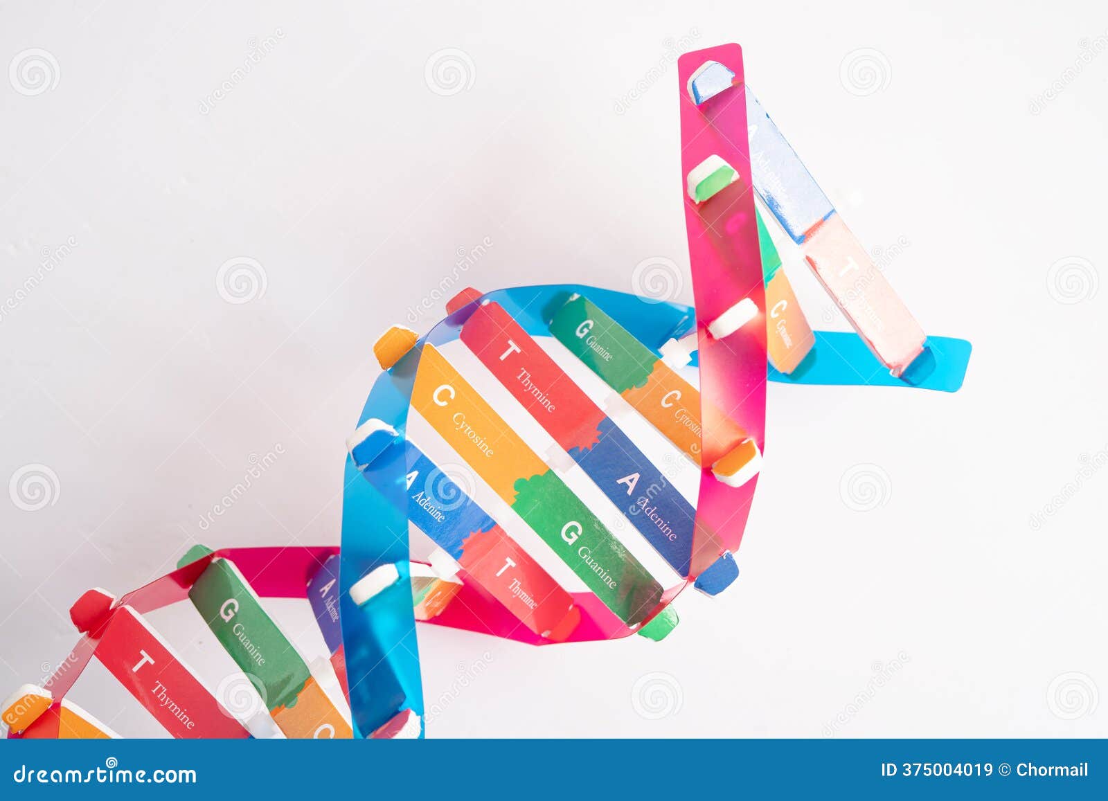 DNA. Deoxyribonucleic Acid. Nucleic Acid. Genetic Code. Cell Structure ...