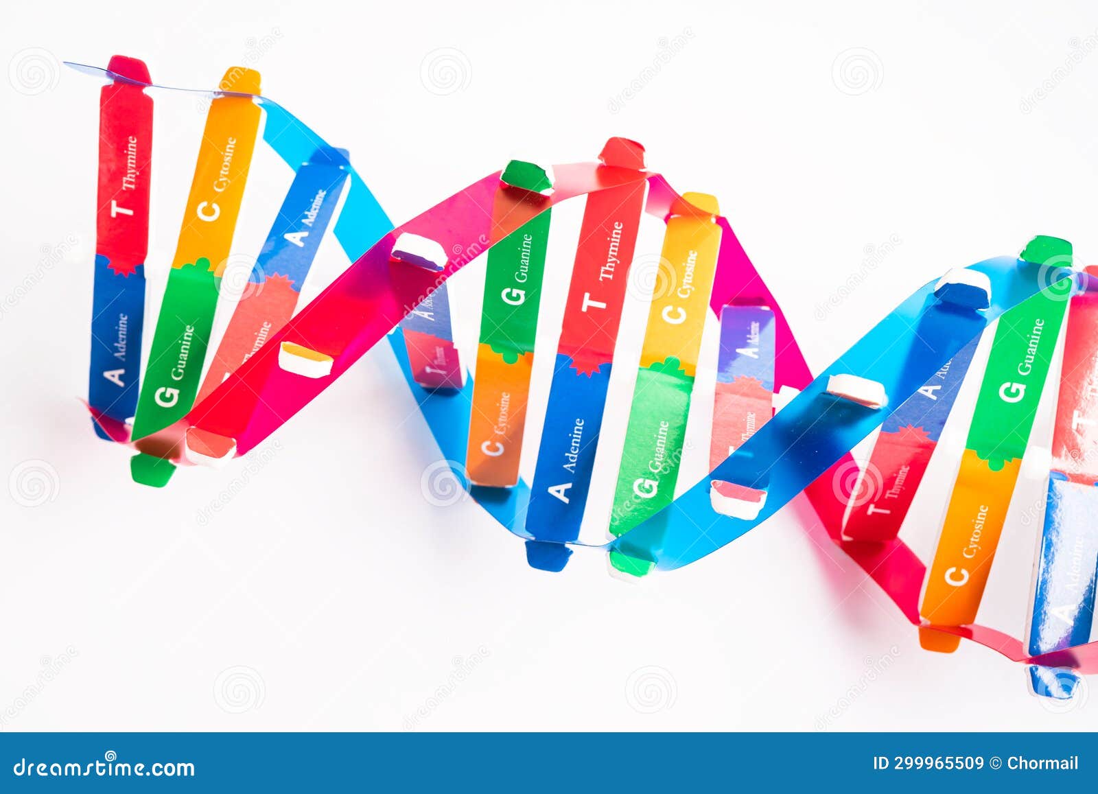 DNA or Deoxyribonucleic Acid is a Double Helix Chains Structure Formed ...