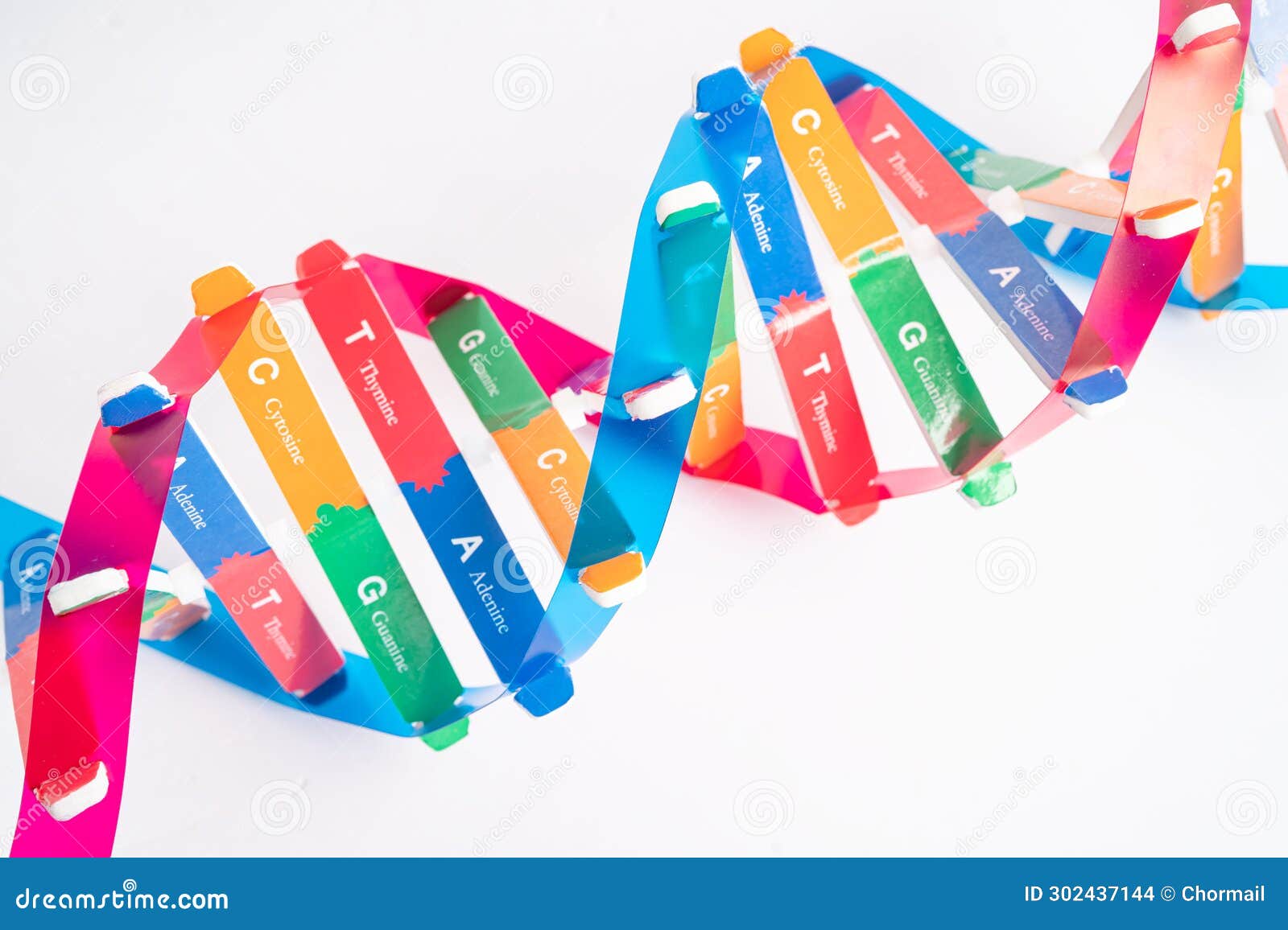 DNA - Deoxyribonucleic Acid, Acronym Stock Photo | CartoonDealer.com ...