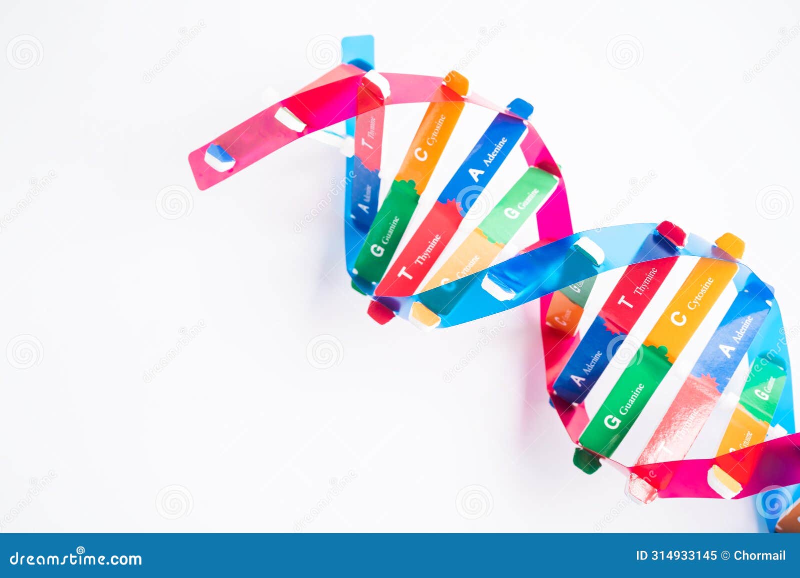 DNA or Deoxyribonucleic Acid is a Double Helix Chains Structure Formed ...