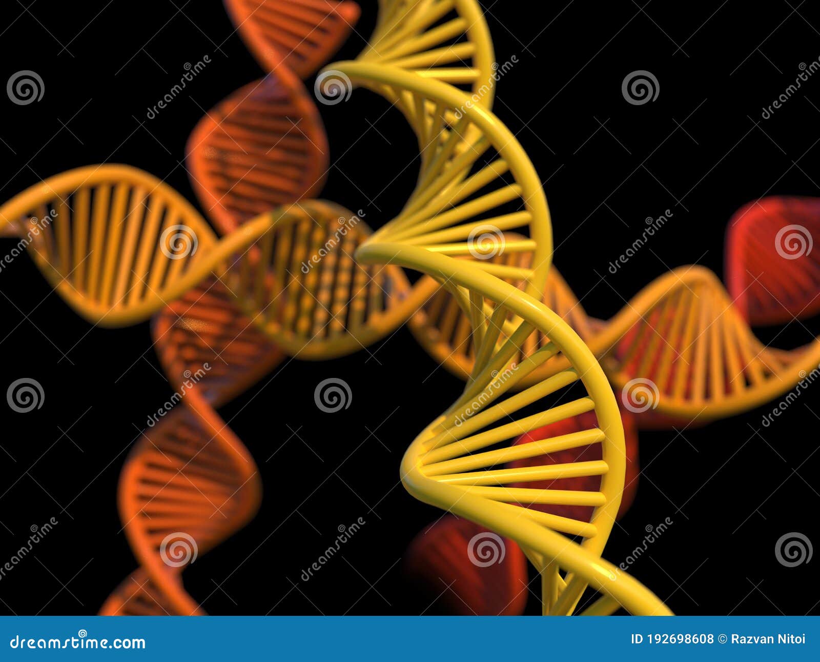 DNA Genetic Molecule Spiral Structure Stock Illustration - Illustration ...
