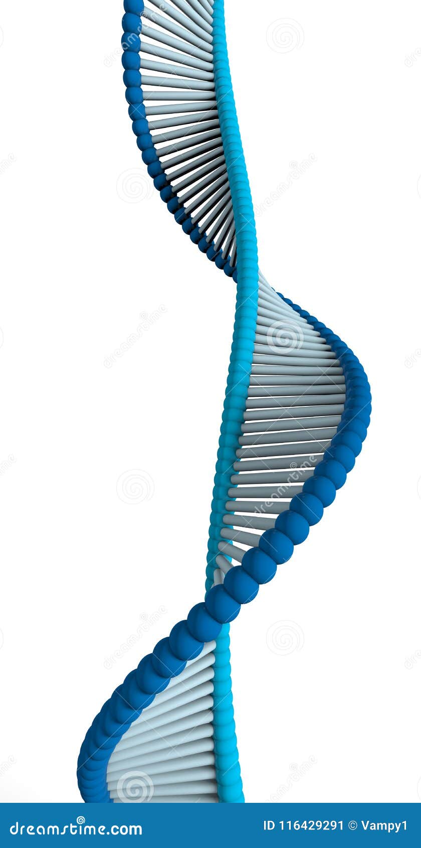 DNA is a Thread-like Chain of Nucleotides Carrying the Genetic ...