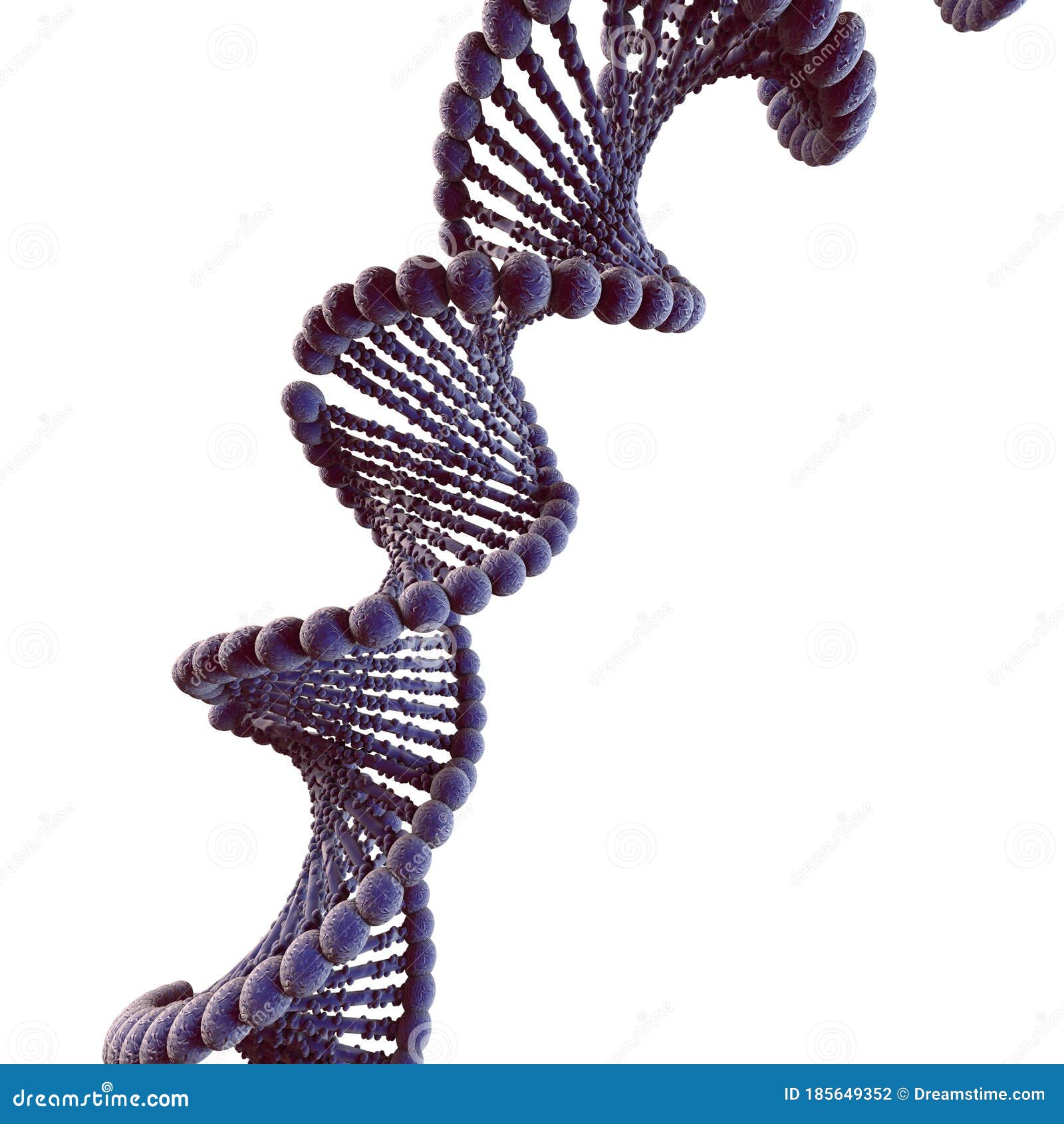 A 3d Rendering Of DNA Helix Inside Of Inverse Hexagonal HIIc Phase ...