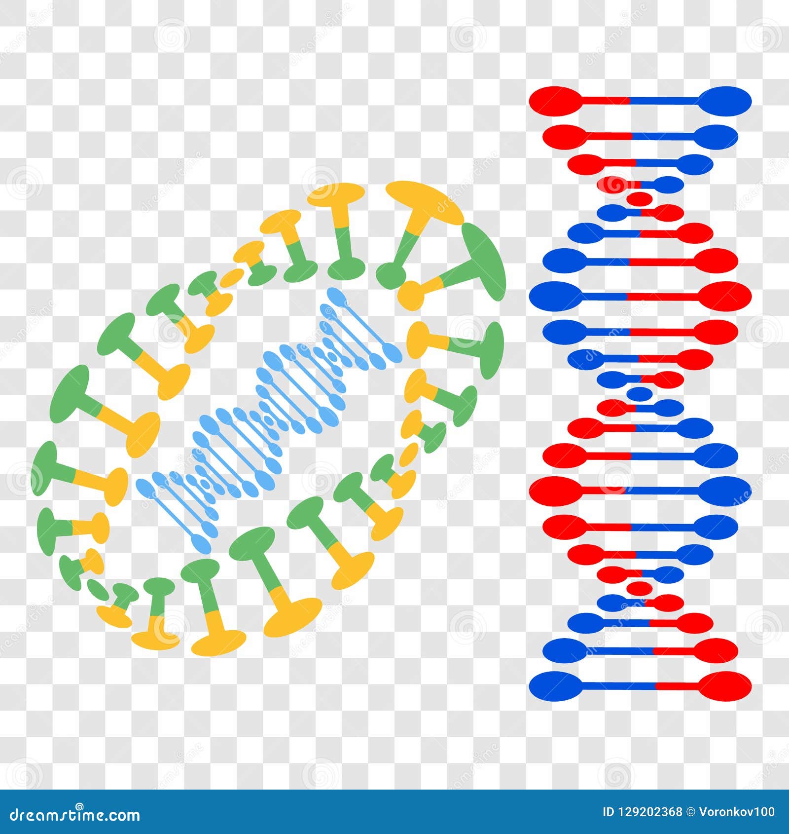 DNA Different Sets of Spirals on Transparent Background. Vector ...