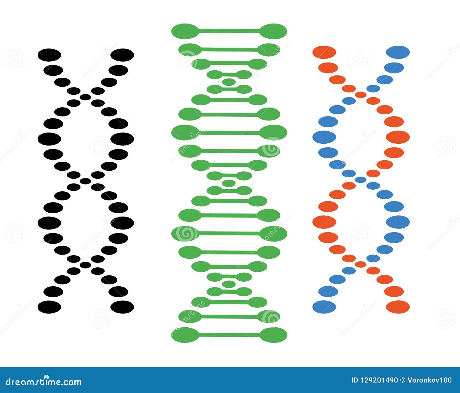 DNA Different Sets of Spirals on a White Background. Vector Elements ...