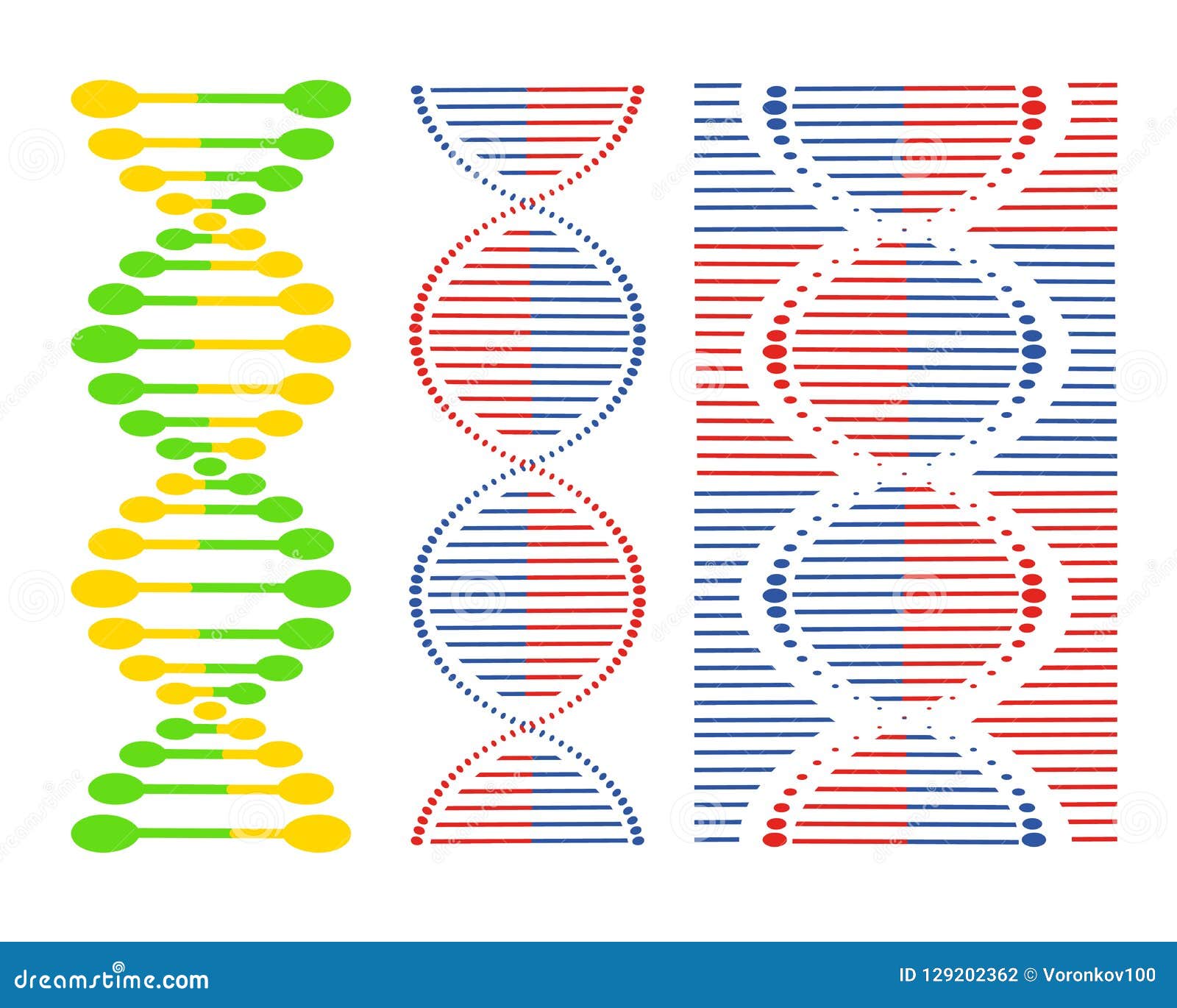 DNA Different Sets of Spirals on a White Background. Vector Elements ...