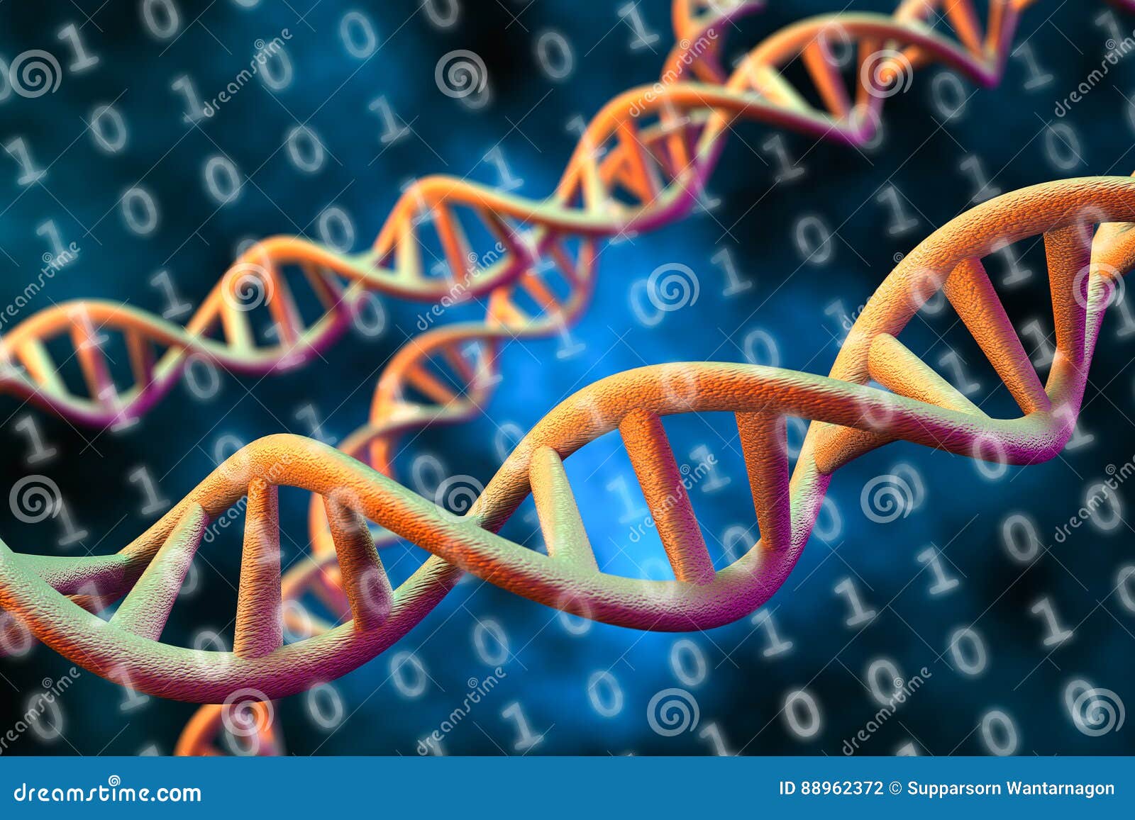 DNA Digital Data Storage Concept, 3D Rendering Stock Illustration ...