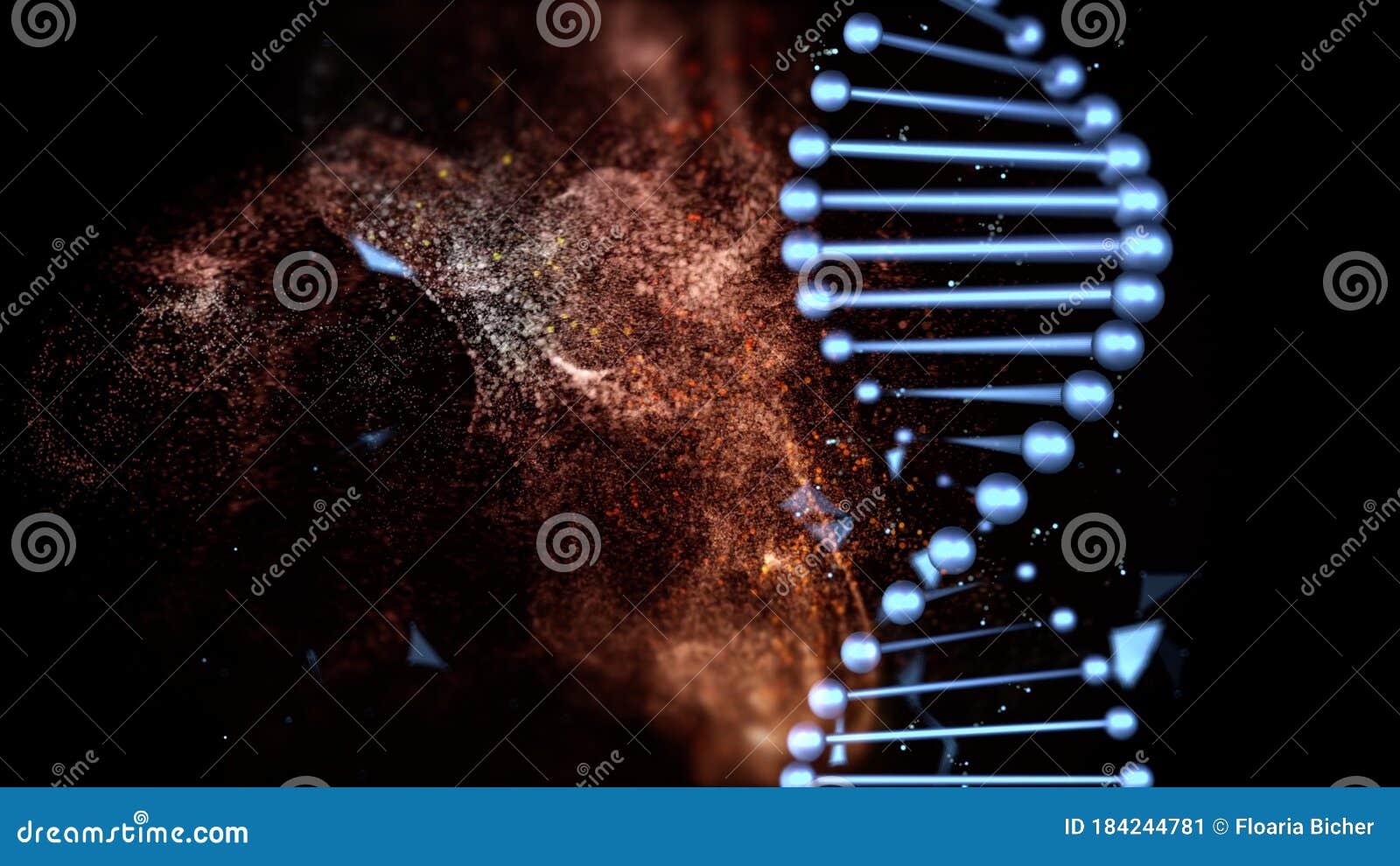 DNA Distorted Replica and a Flow of Colourful Particles on Tha Black ...